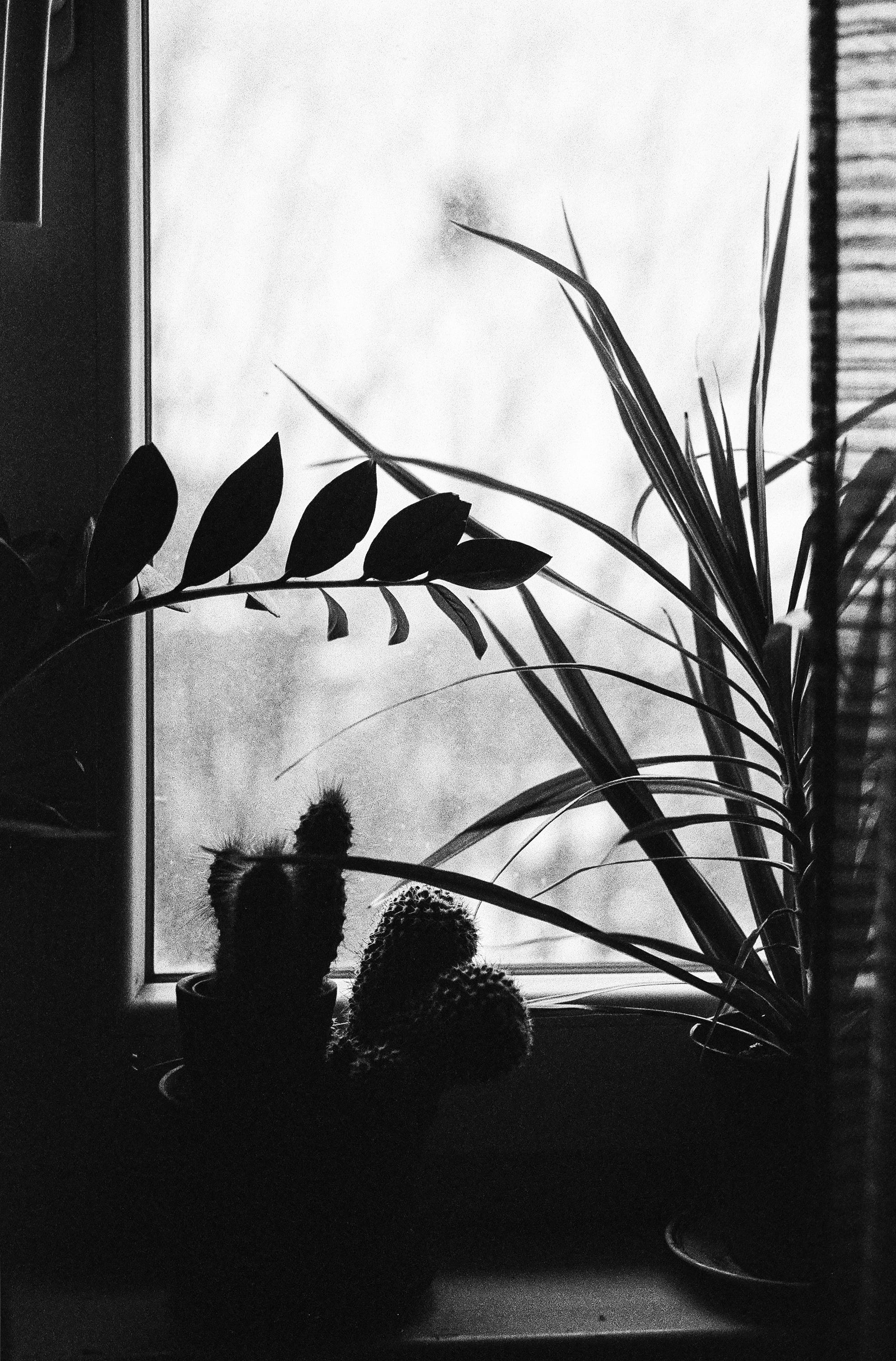 What does a home feel like? - by Ana-Maria Molnar