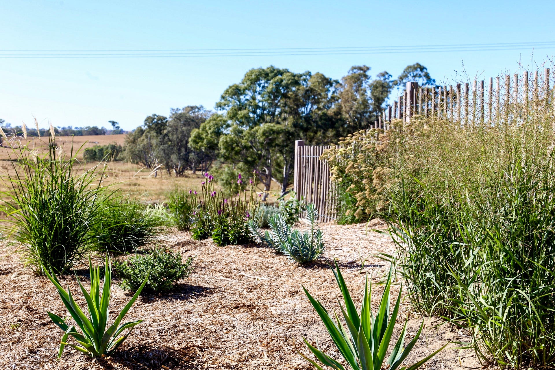 The Dry Garden: Part 1 - The Garden at Moorfield