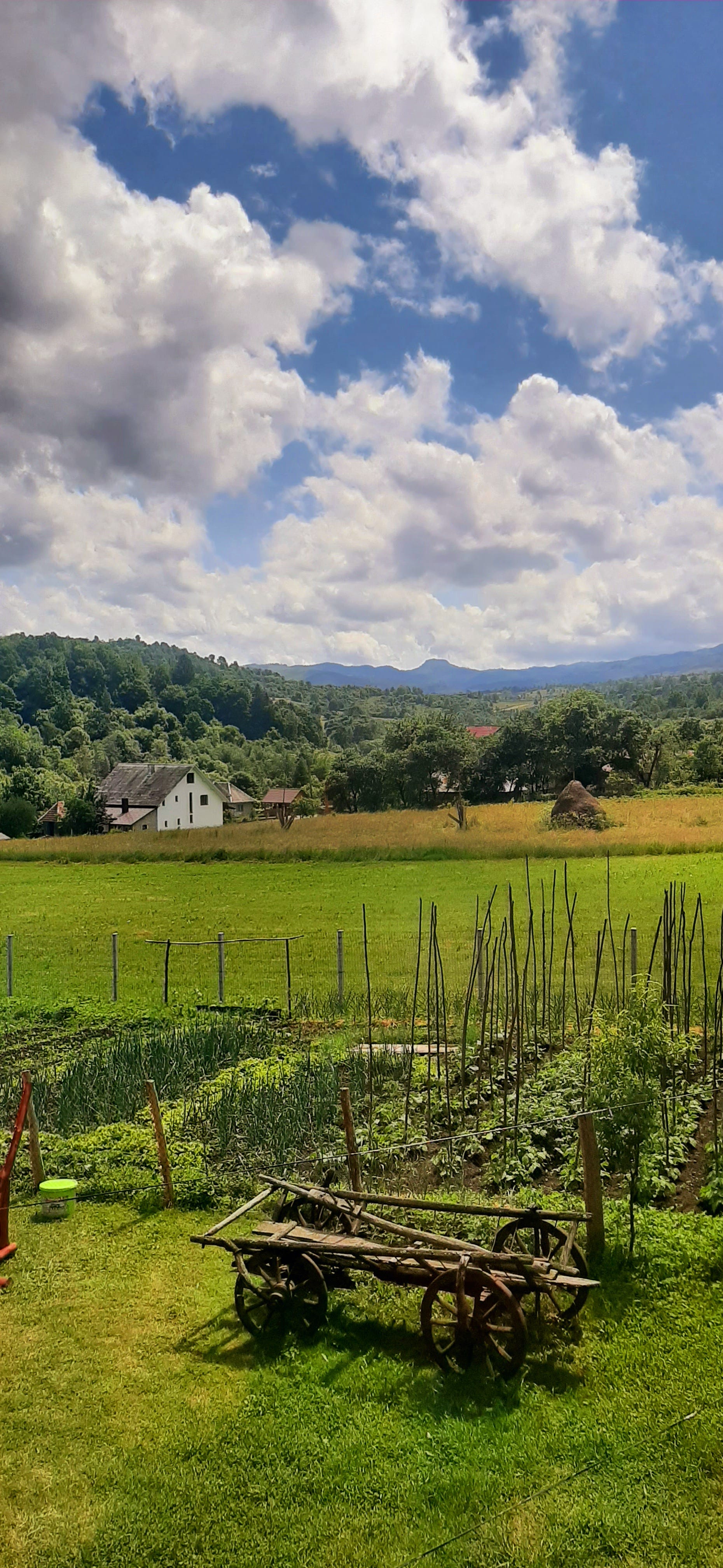 Eating lessons from a mother goddess - by Hannah-May Batley