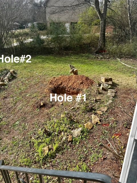More Holes in My Yard - by Cindy McCarty - Cindy’s Substack