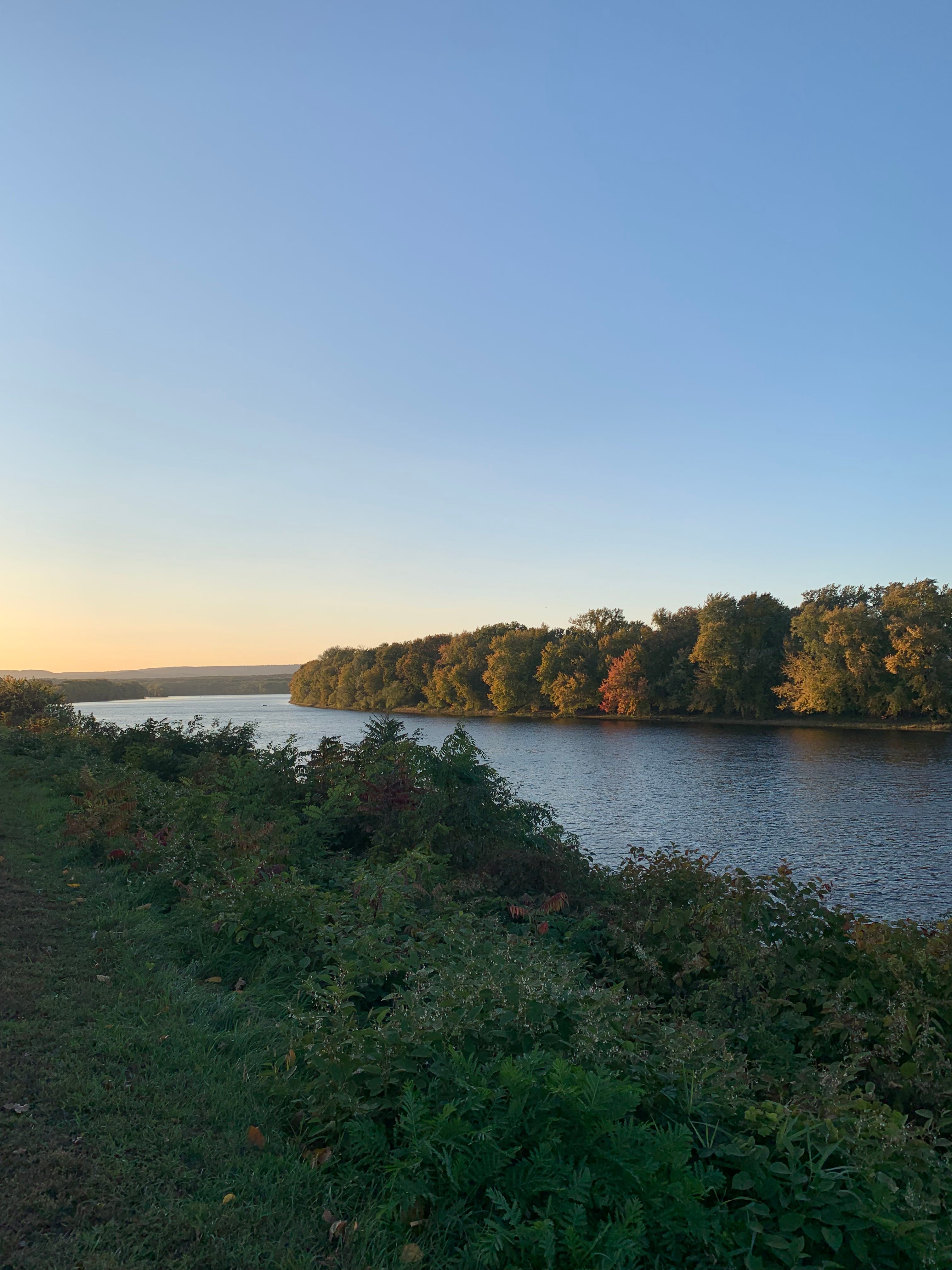 Raised by a River - by Cleo Rohn - Early Riser