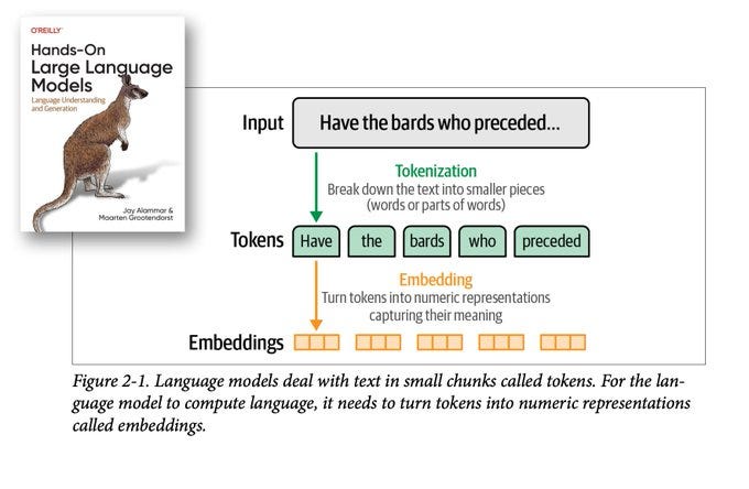 Our book, Hands-On Large Language Models, Is Now Out!