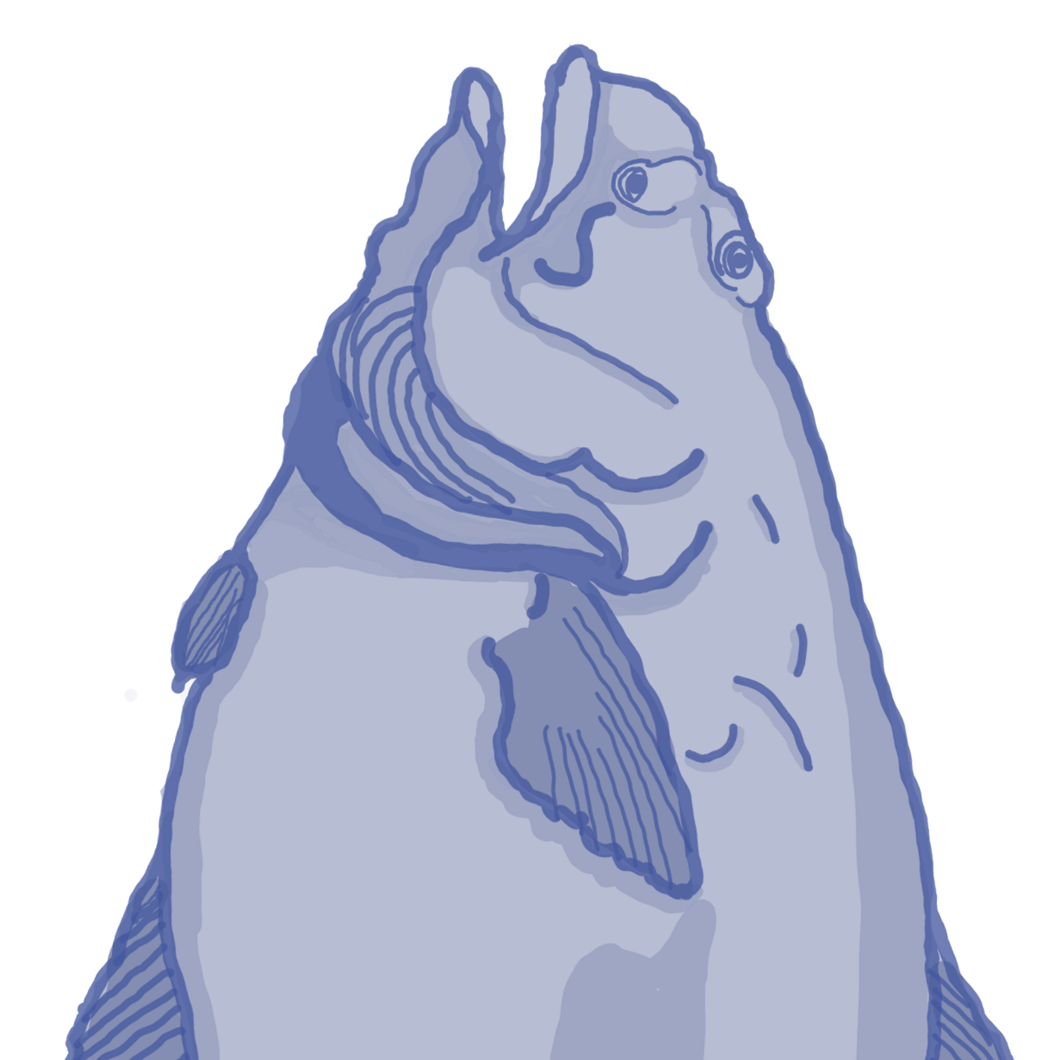 Billy Halibut | Substack