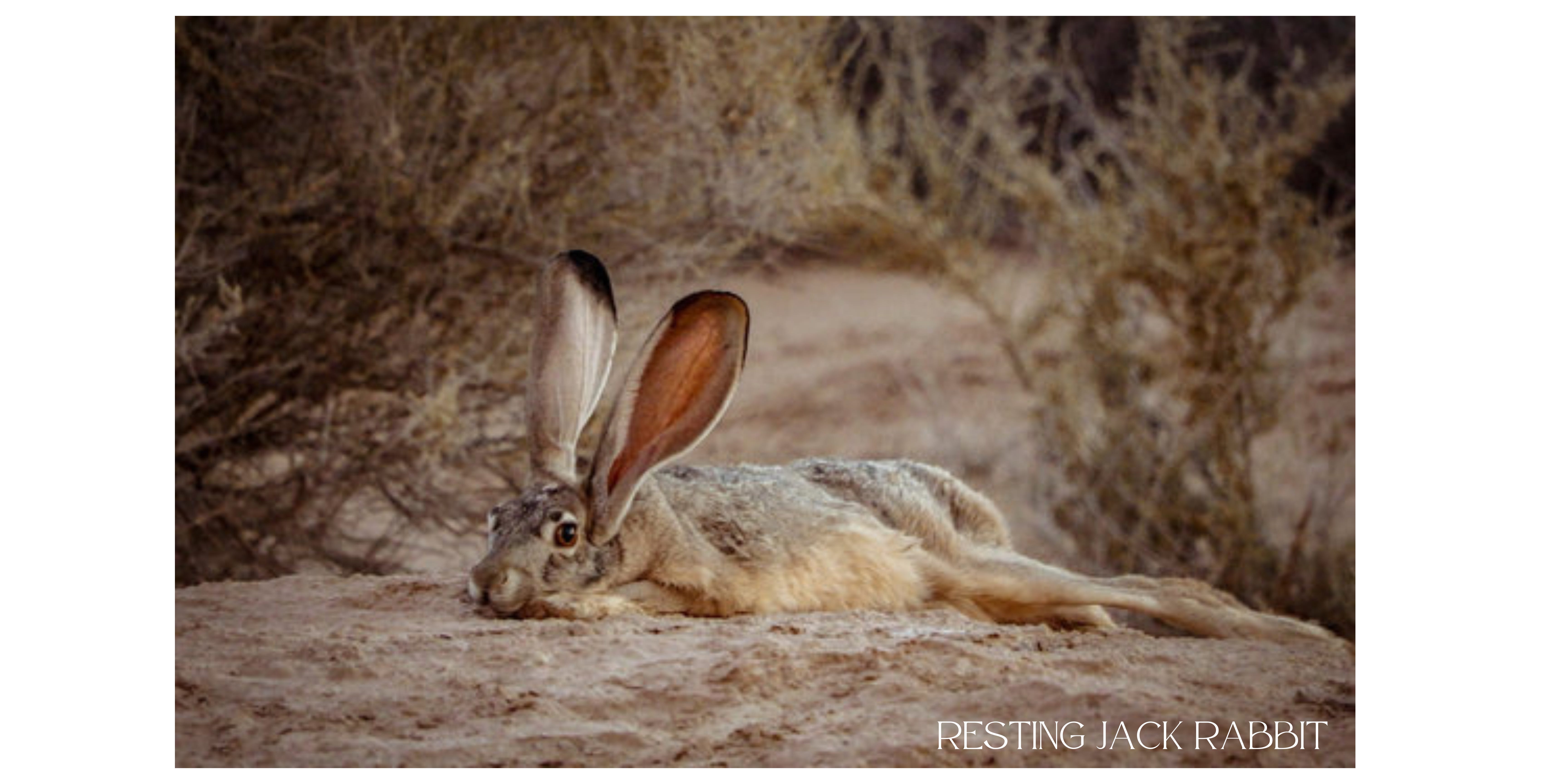 How to Battle Anxiety, Without Using Ice Cream