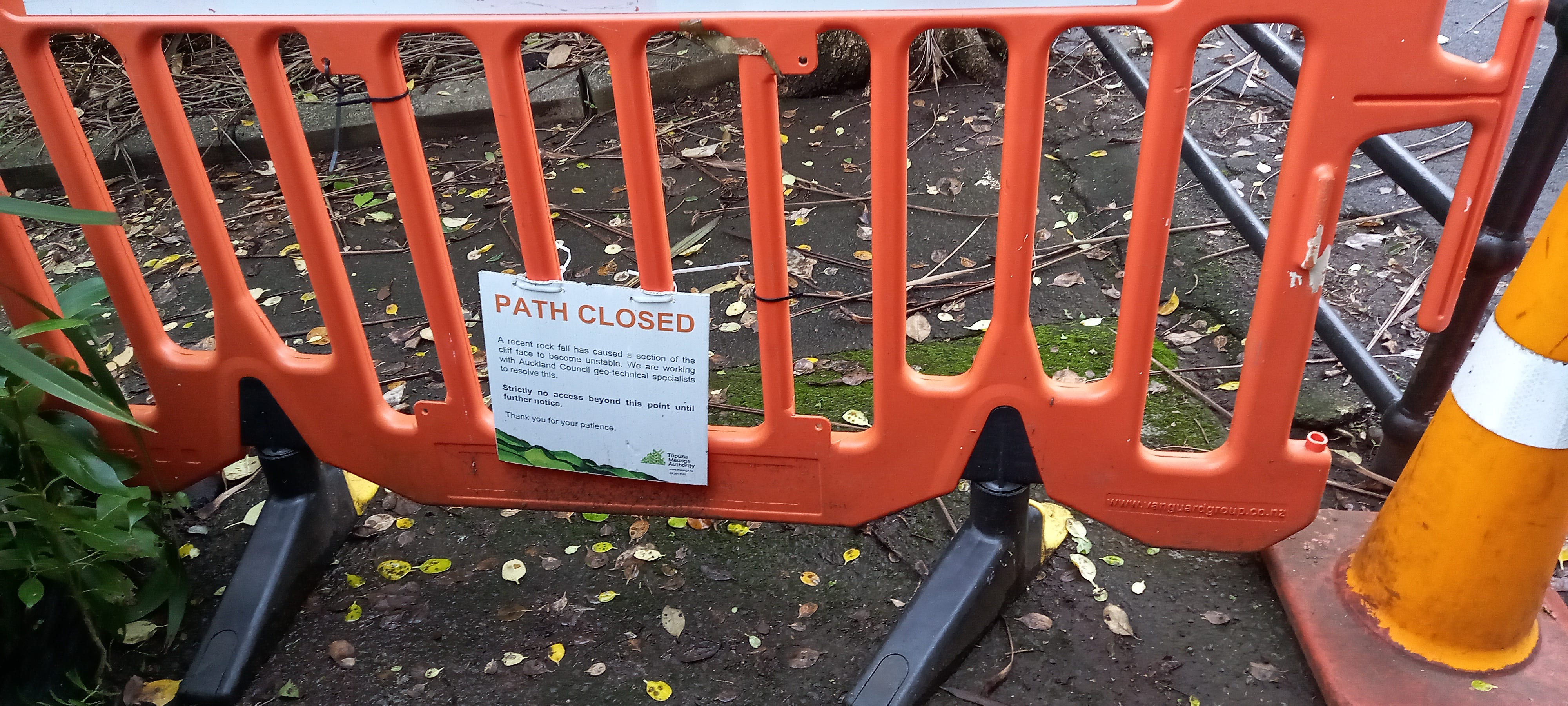 Illegal Public Land Appropriation - by Yinchi Moon