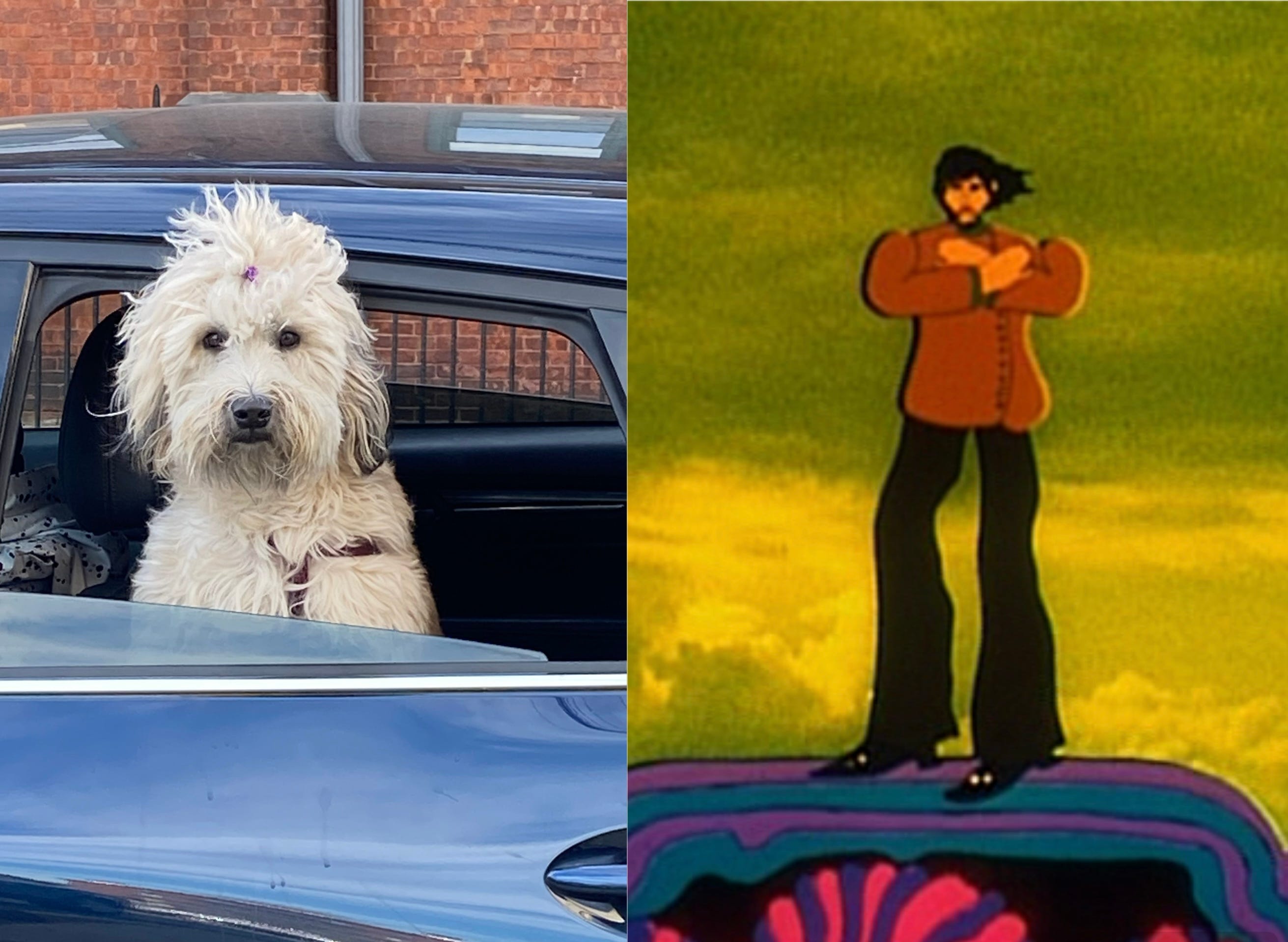 46. The Week in Me - by Tara Giancaspro