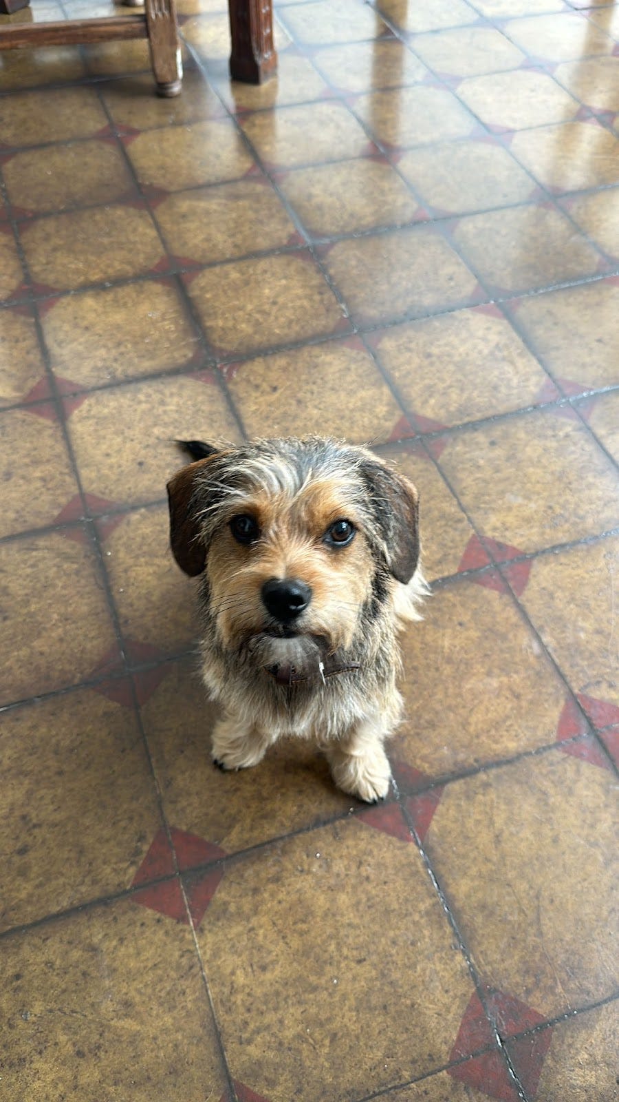 She stole our hearts - by Tom Dyson