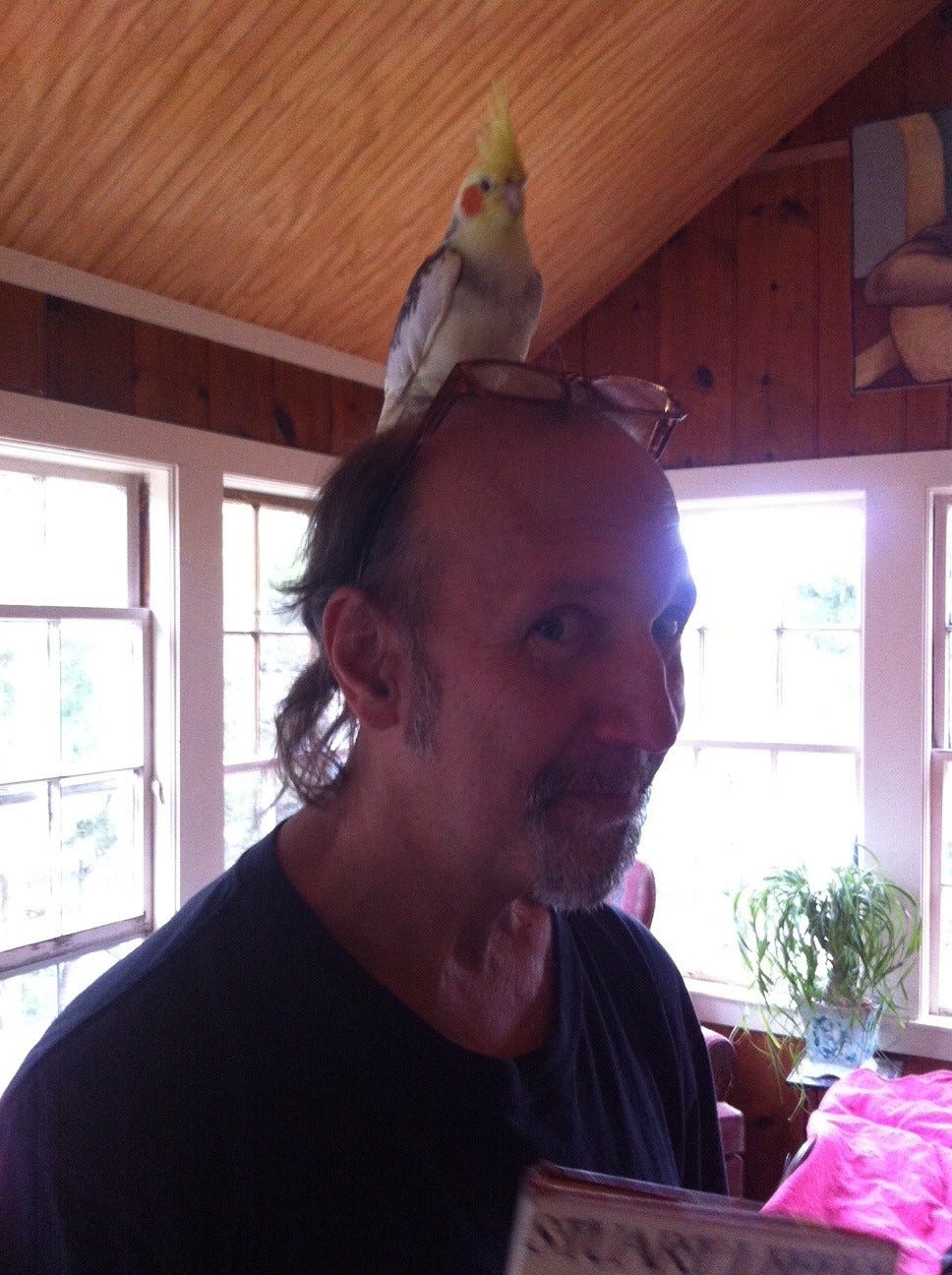 The 14th novel is out - by Seth Rolbein - A Cape Cod Voice