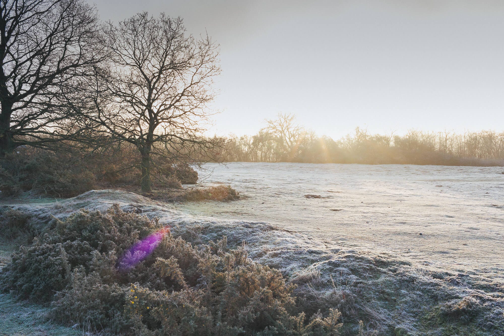 Searching for Lucidity in the Liminal: Betwixtmas Reflections