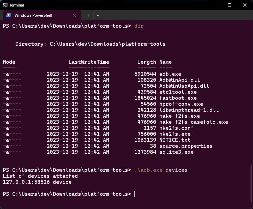 Organic Maps on Windows - Dima Korolev