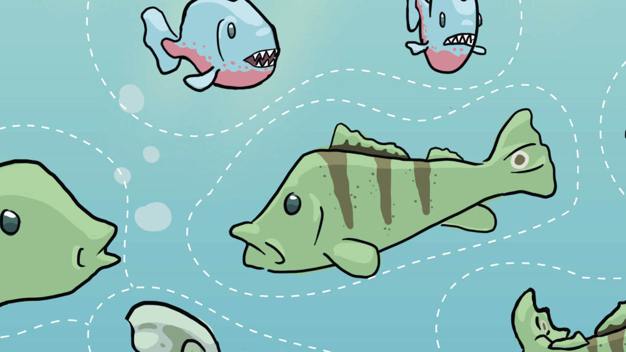 Storing information with components - Skeleton Code Machine