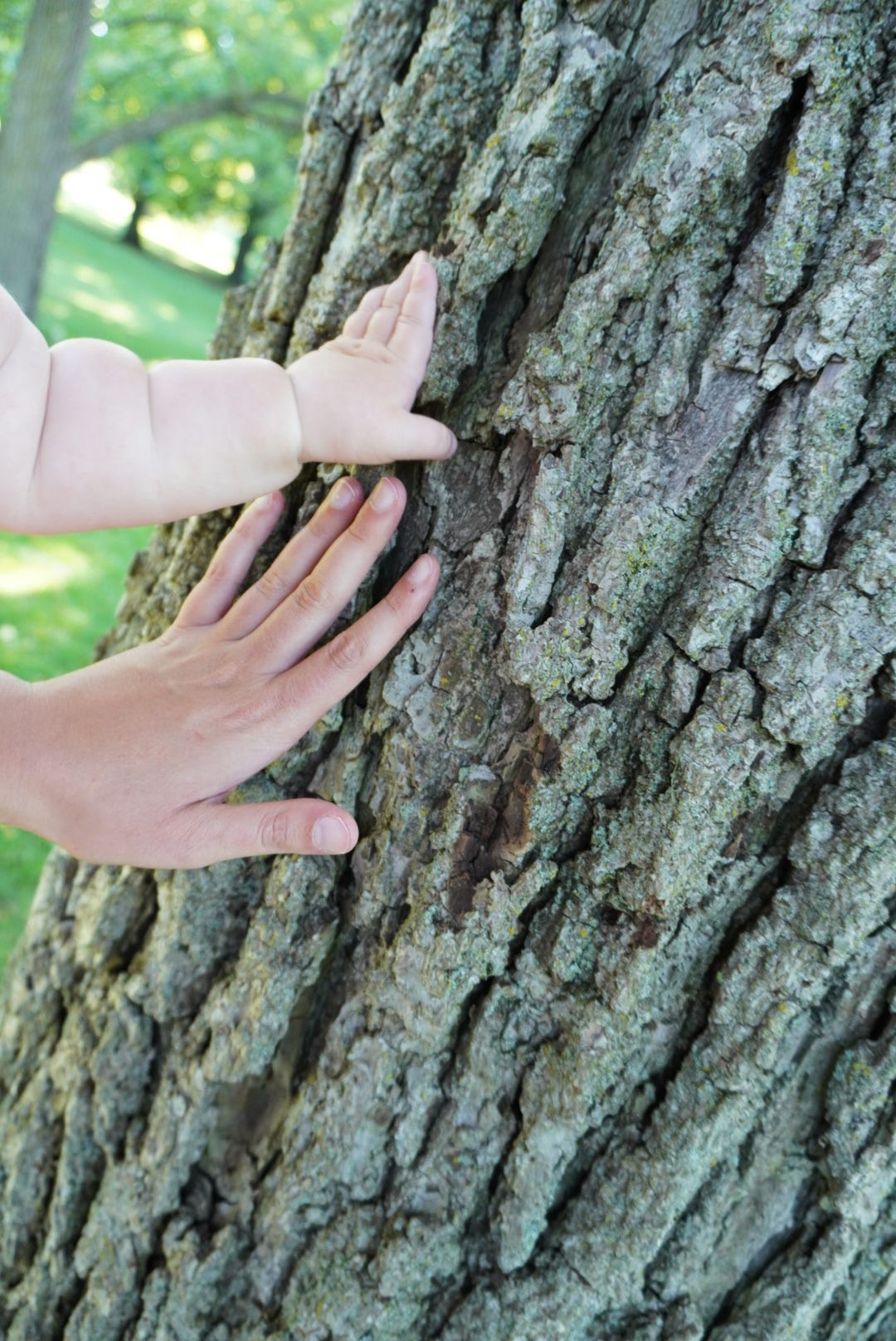 How Burying My Placenta Helped Me Heal from Birth Trauma