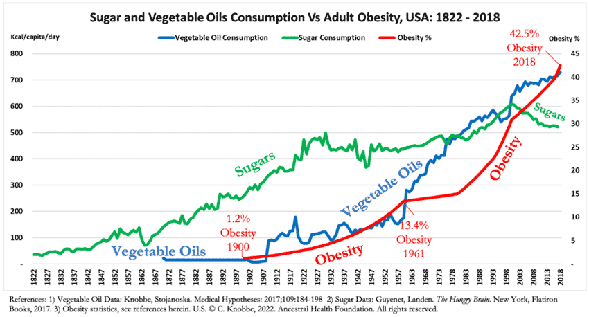 How Ultraprocessed Foods Are Slowly Killing Us
