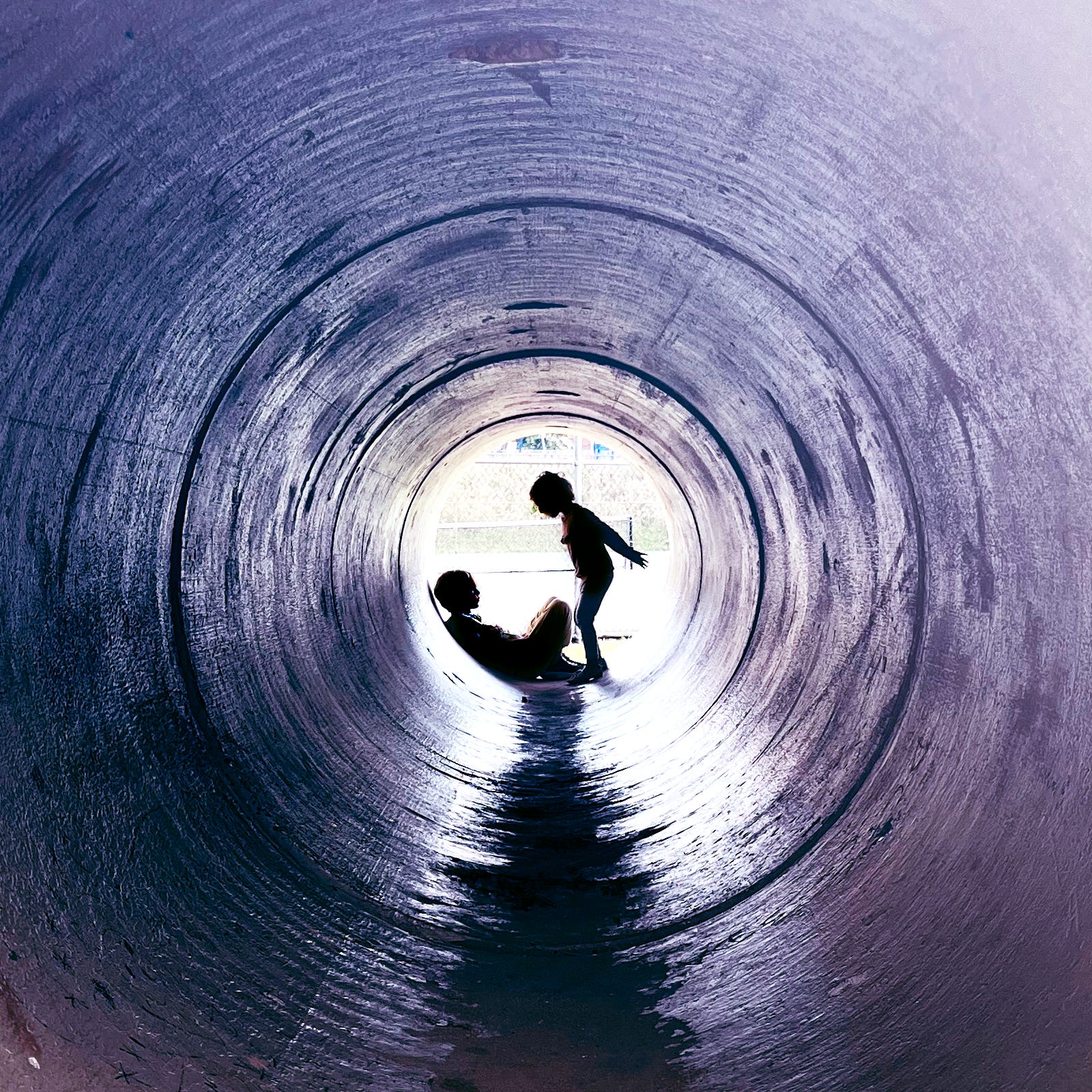 The Violet Fields | Audrey Assad | Substack