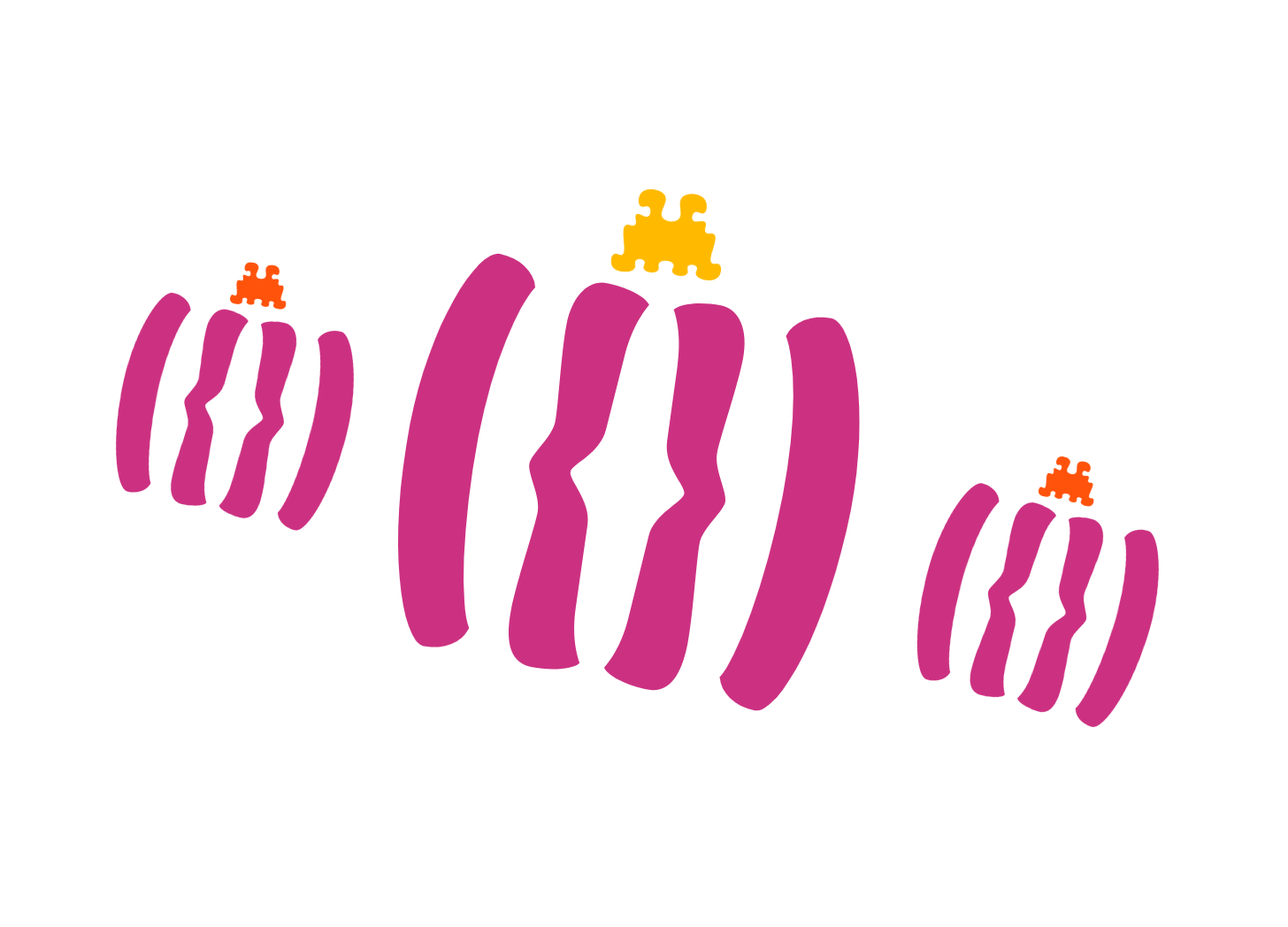 Introduction to Women's Studies - by Crystal Kile