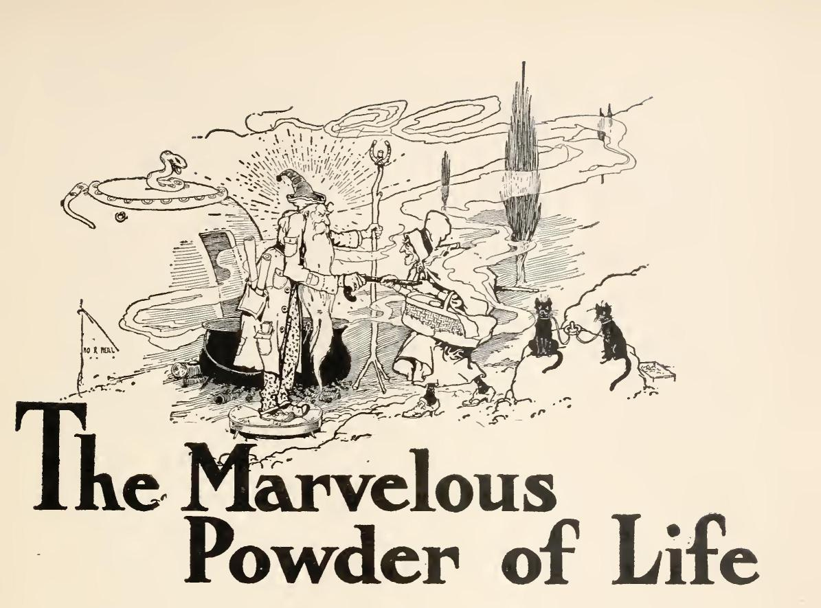 The Marvelous Powder of Life - The Land of Oz
