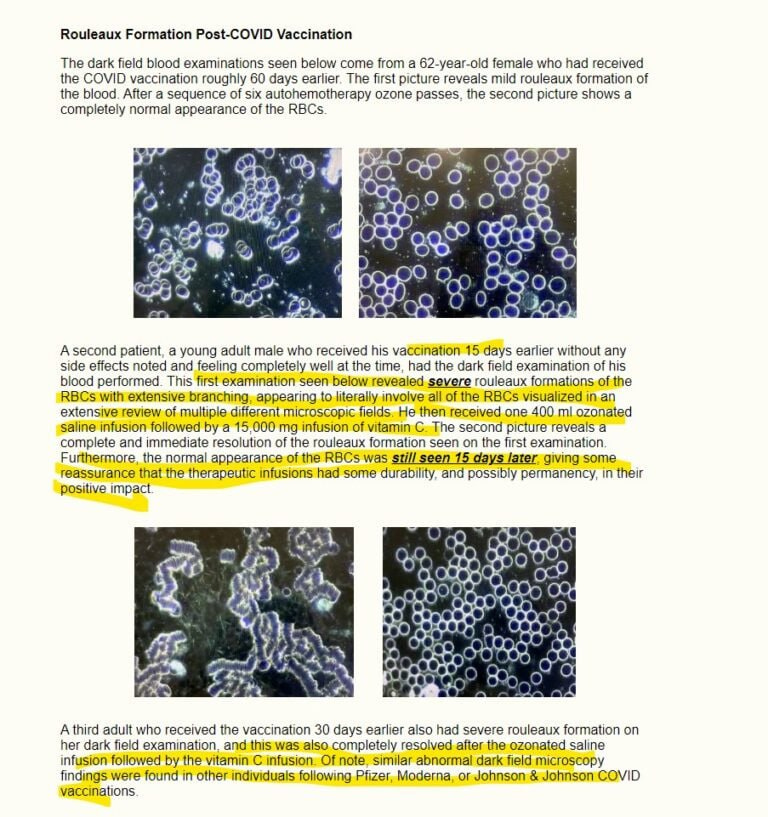 The Agent Midnight Rider Protocol