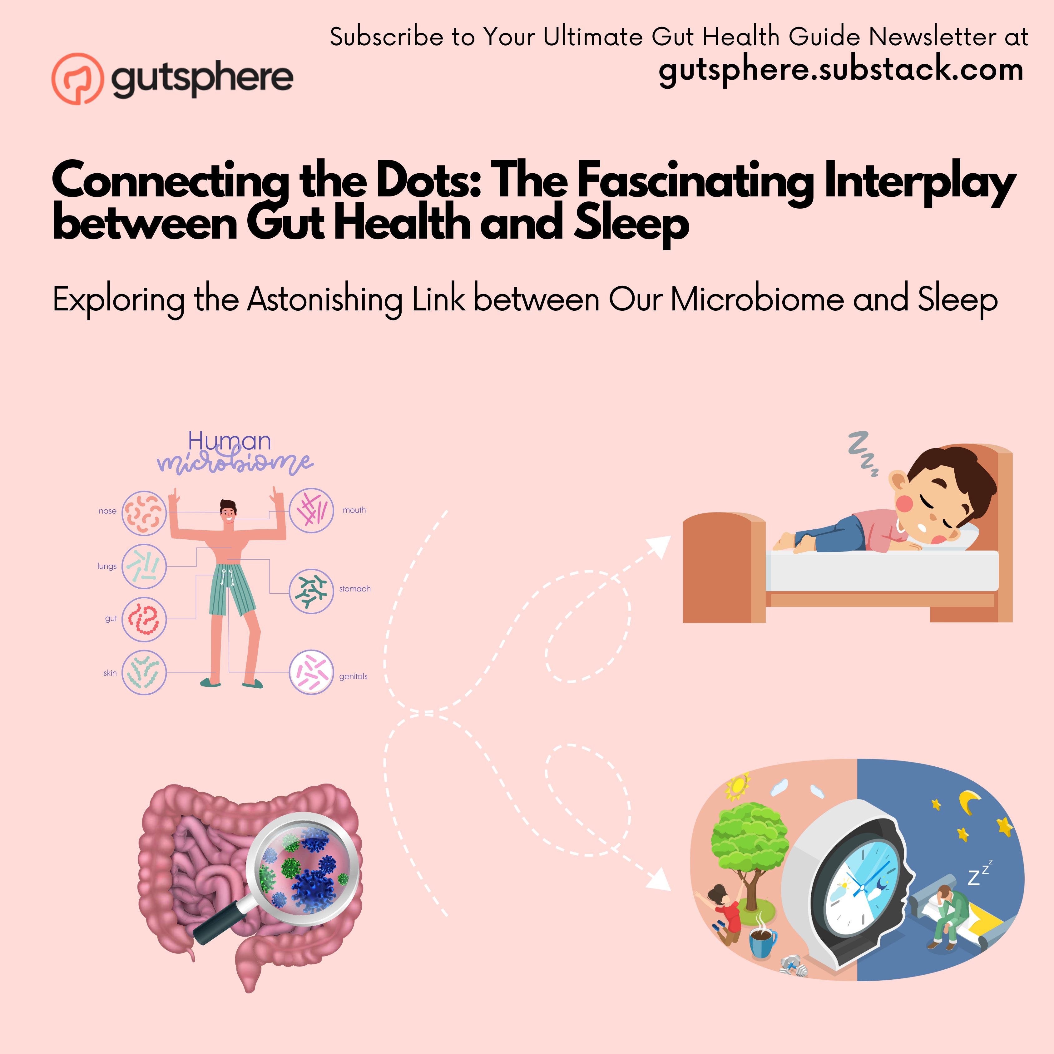Connecting the Dots: The Fascinating Interplay between Gut Health and Sleep