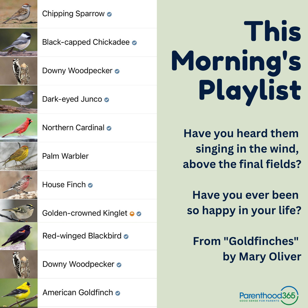 Why I became a birdlistener - by Deborah Farmer Kris