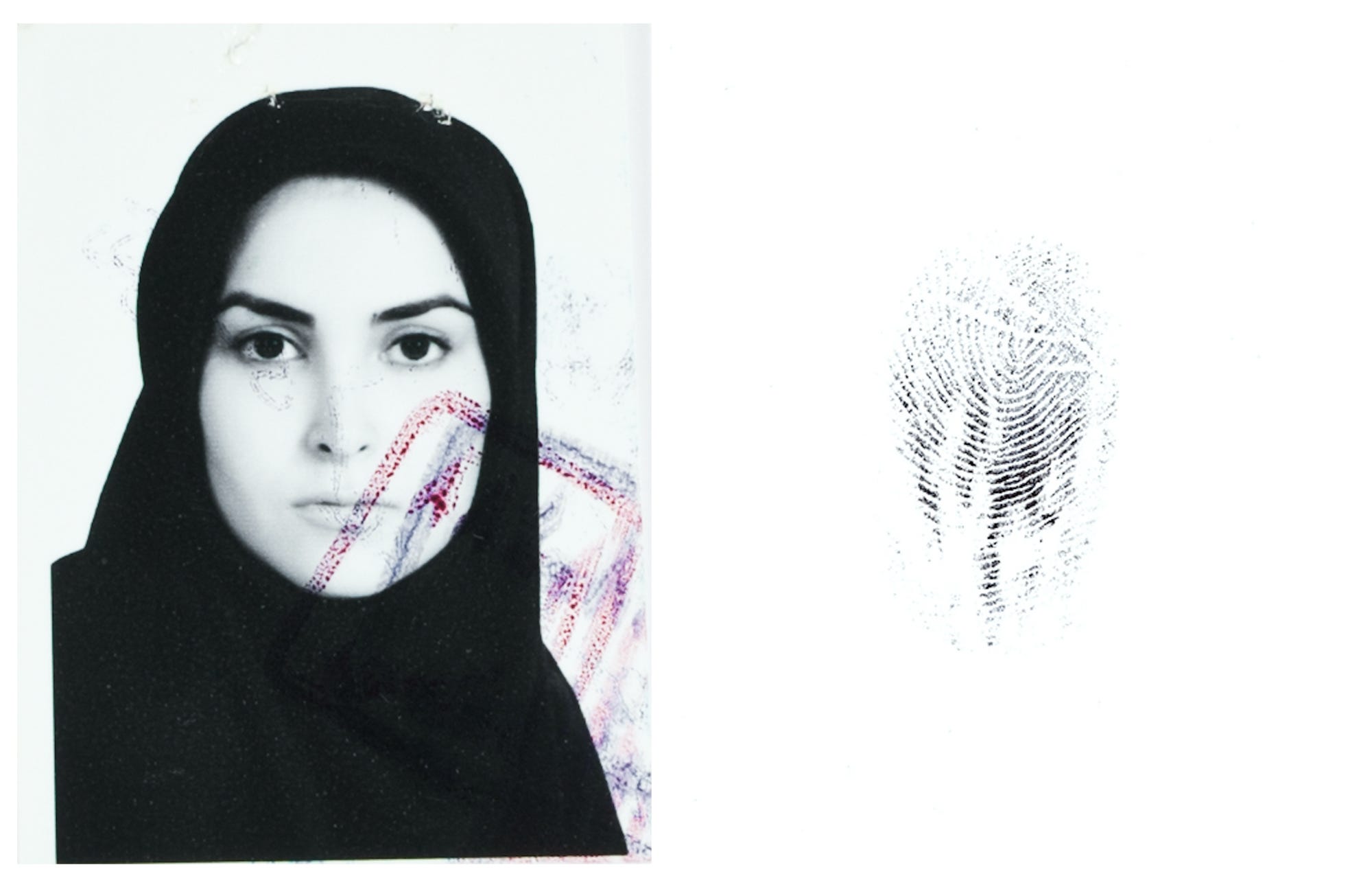 A Conversation with Amak Mahmoodian - by Alice Zoo