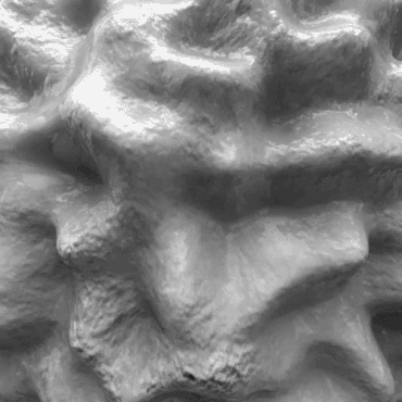 The Bittensor standard - Substack von Timo