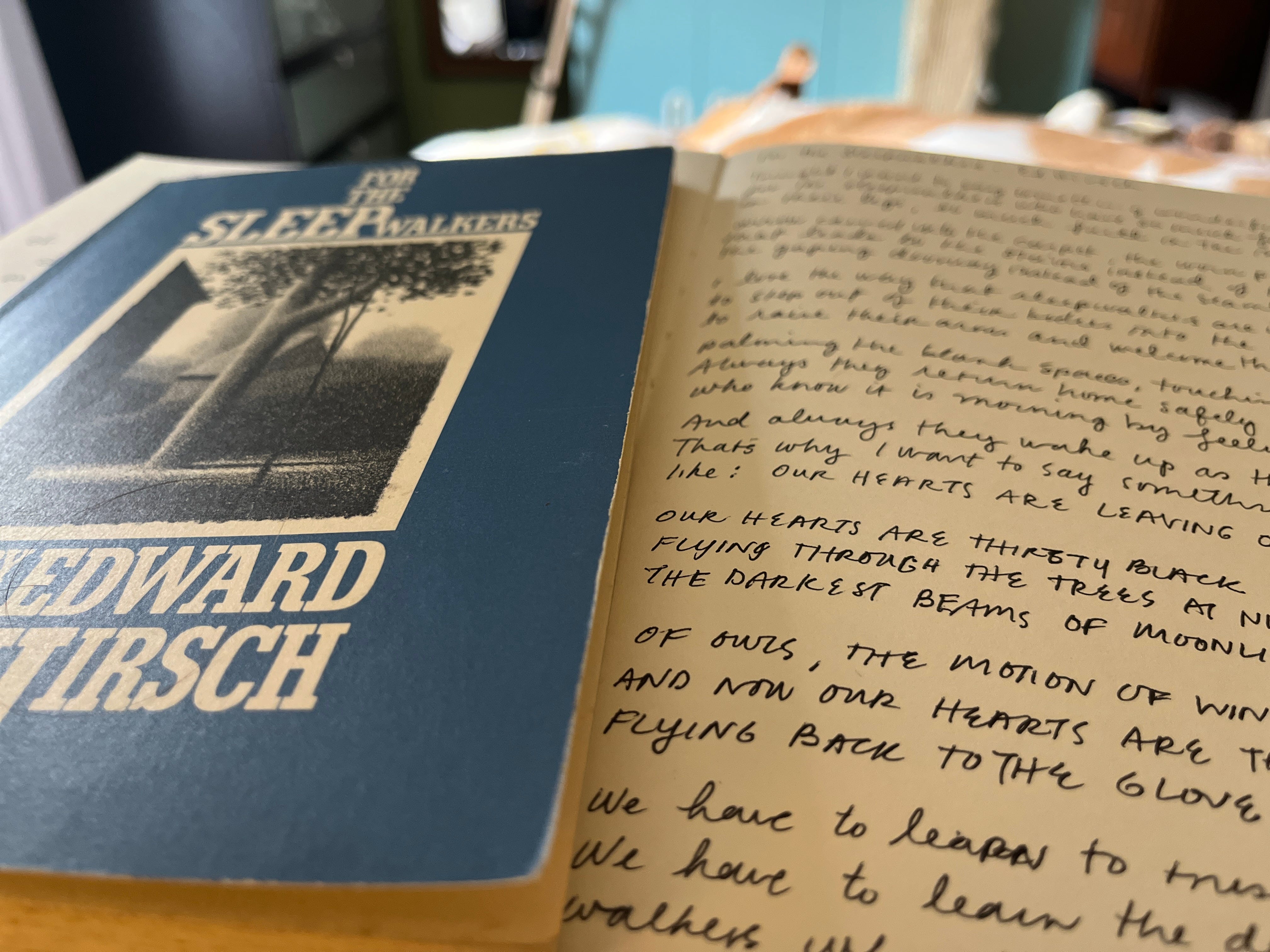 The Desperate Faith of Sleepwalkers - by Lex Orgera