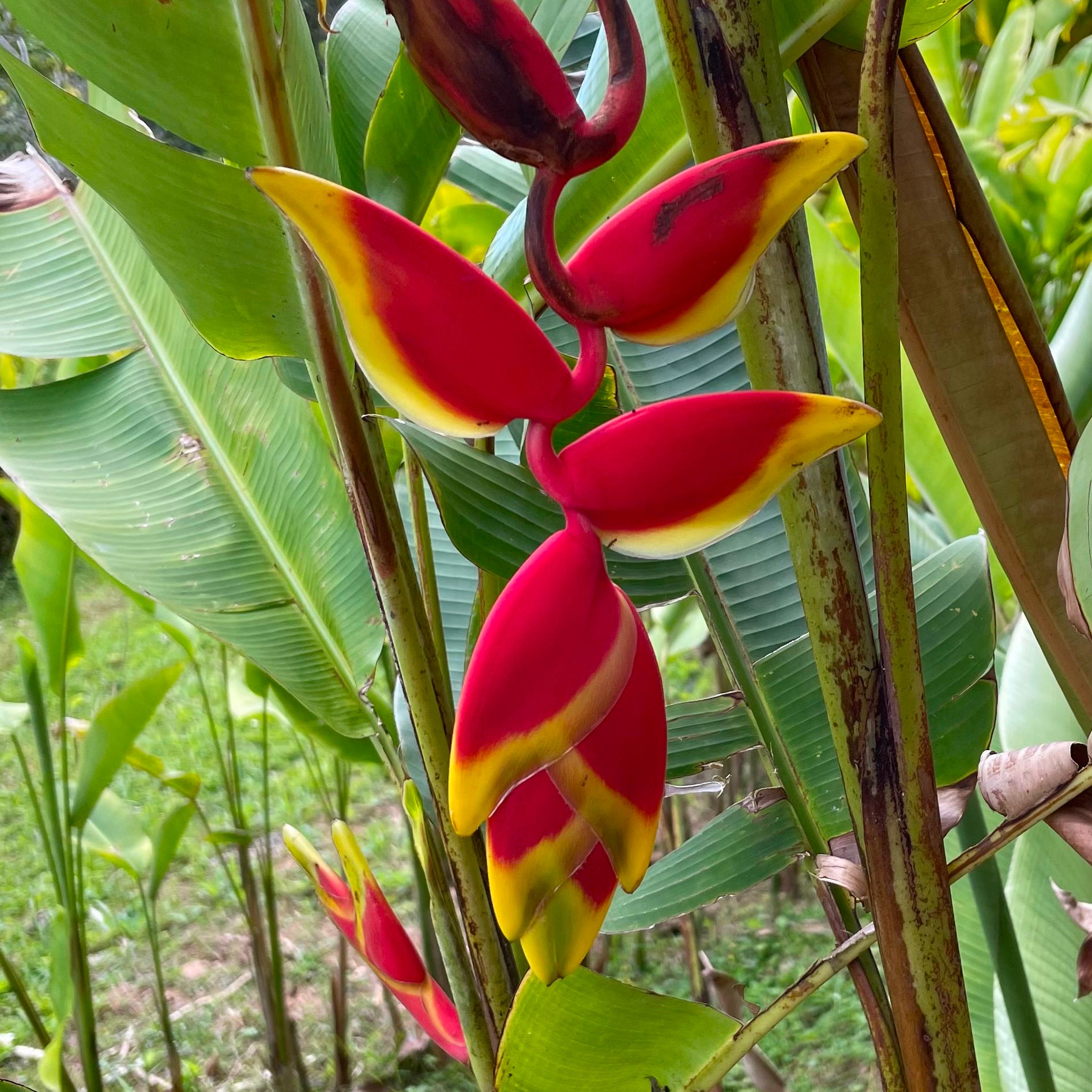 Scott Shipley | Substack