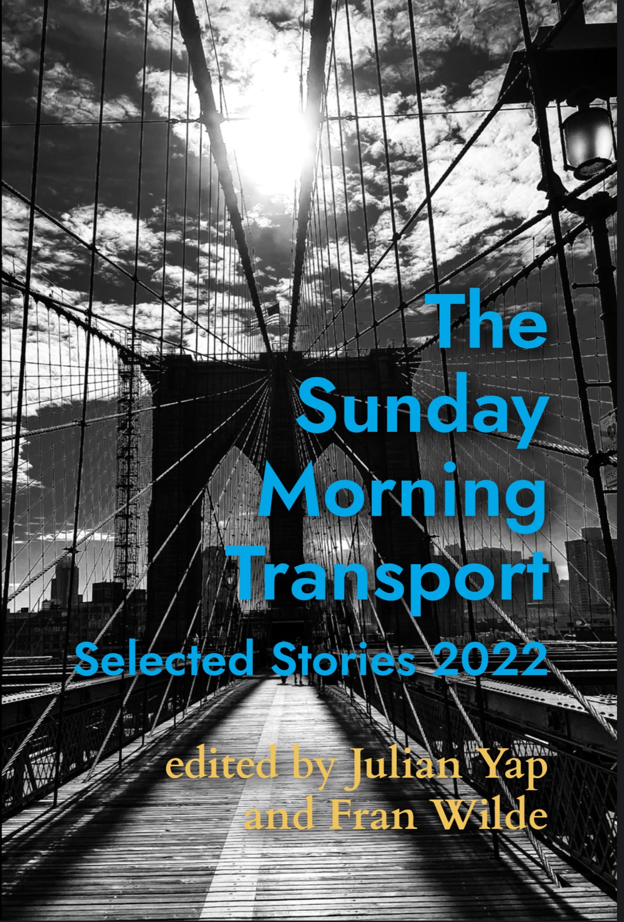 Announcing the TOC for our First Collection: The 2022 Selected Sunday ...