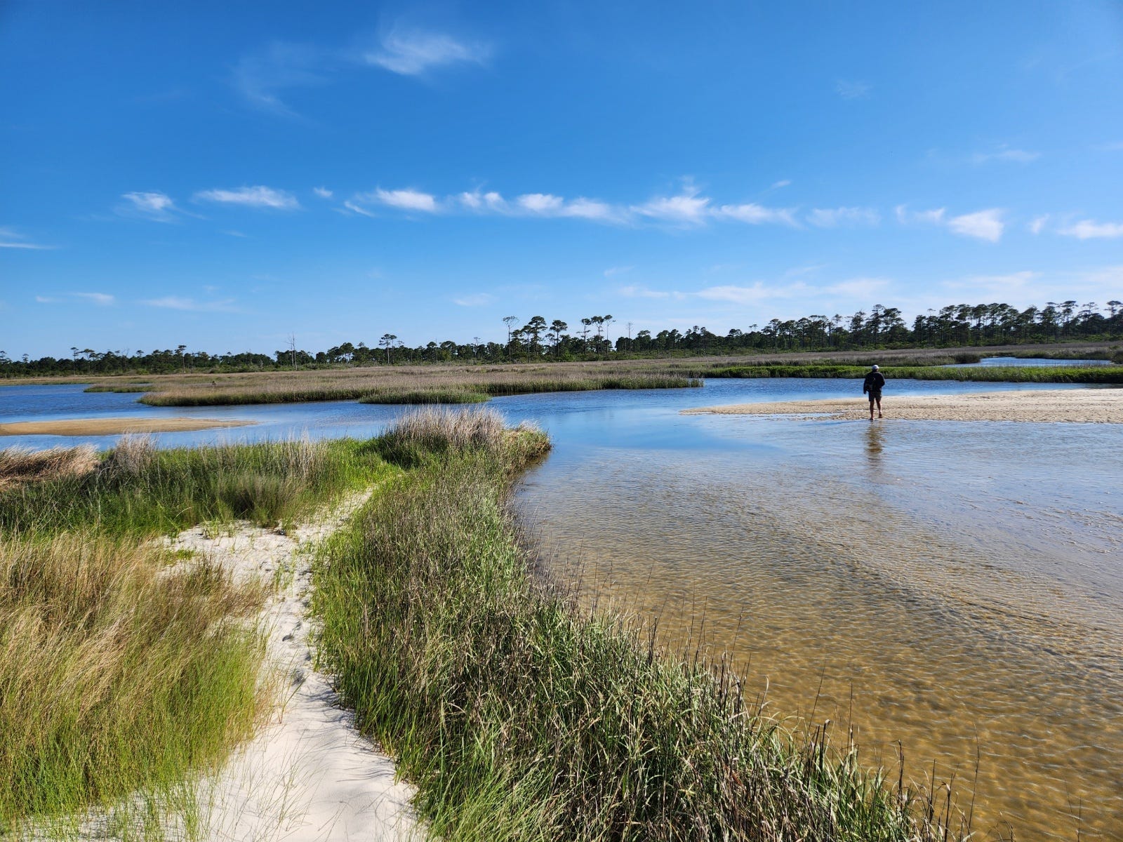 Field guide: Barrier islands - by Boyce Upholt - southlands