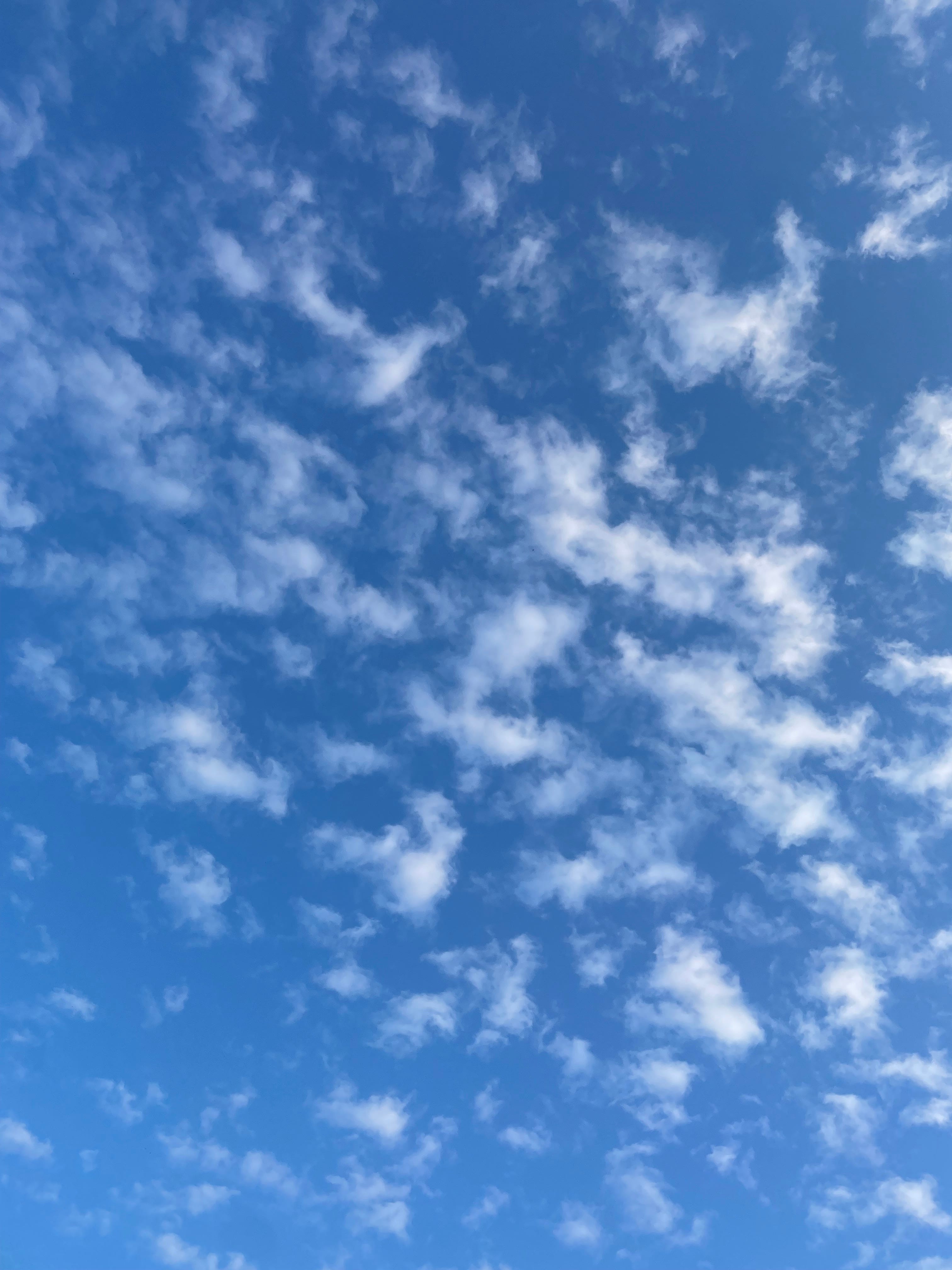 Mary Jane Eyre | Substack