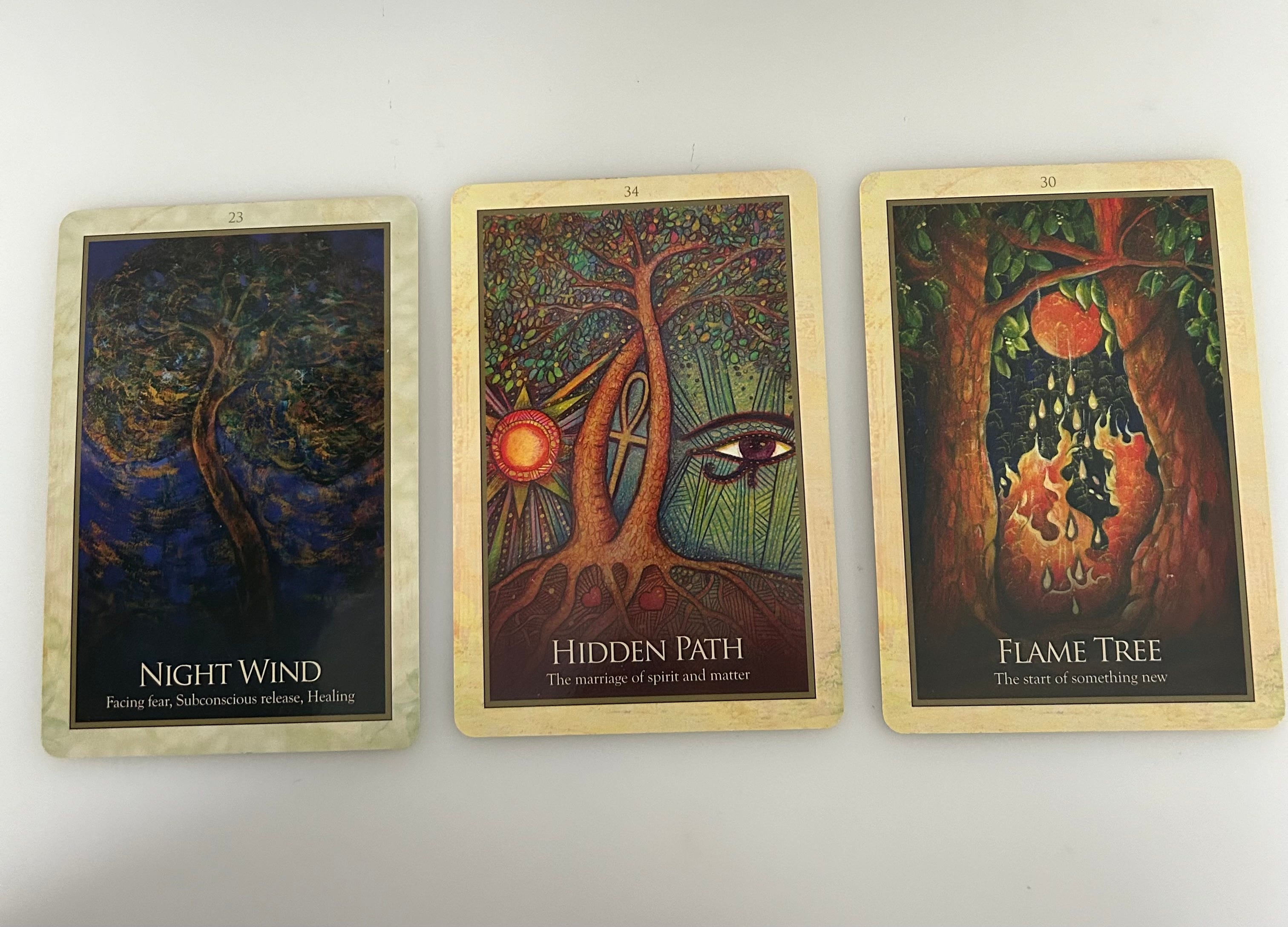 #10 | Guidance & Support From The Oracle - by Natalie