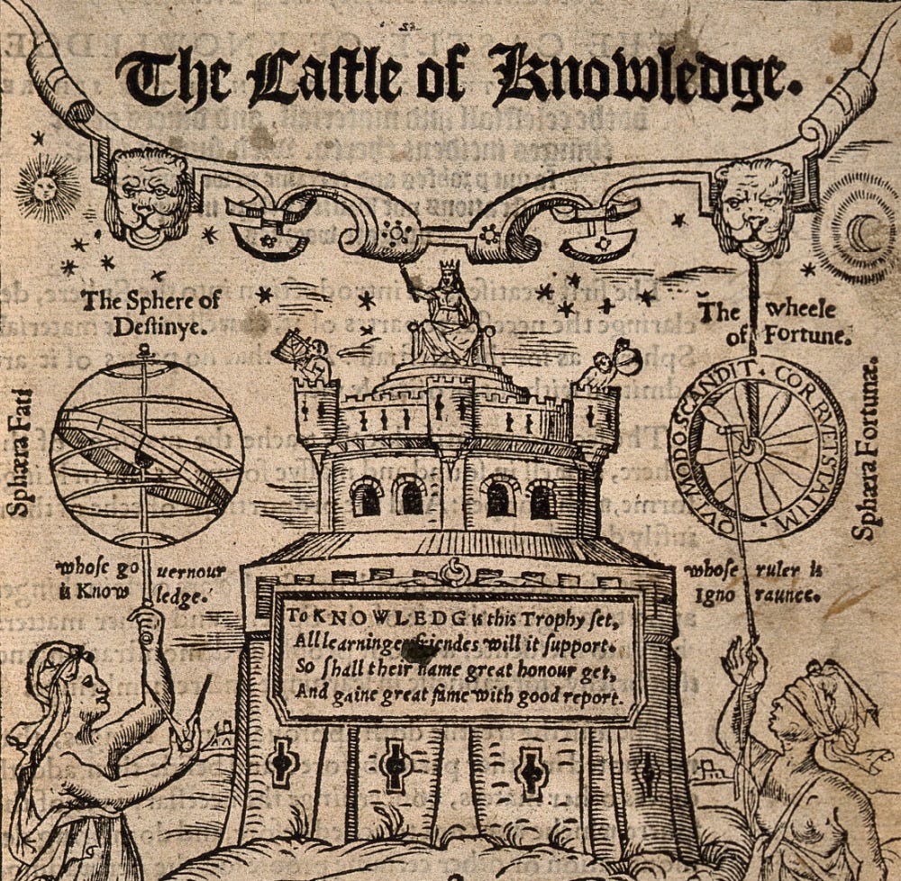 Risks to knowledge economies - by Helen Beetham