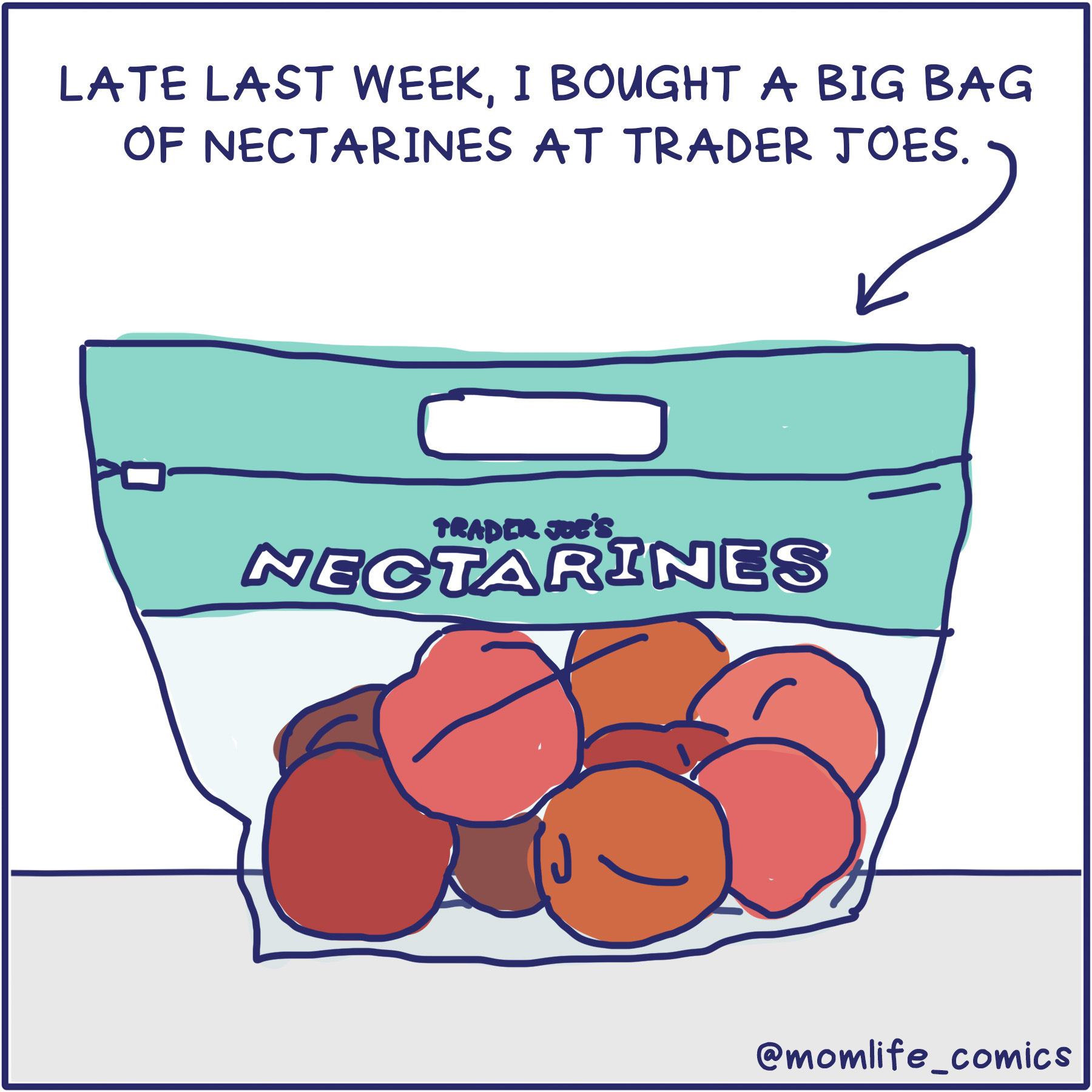 Eat the Damn Nectarine!!! - by Mary Catherine Starr