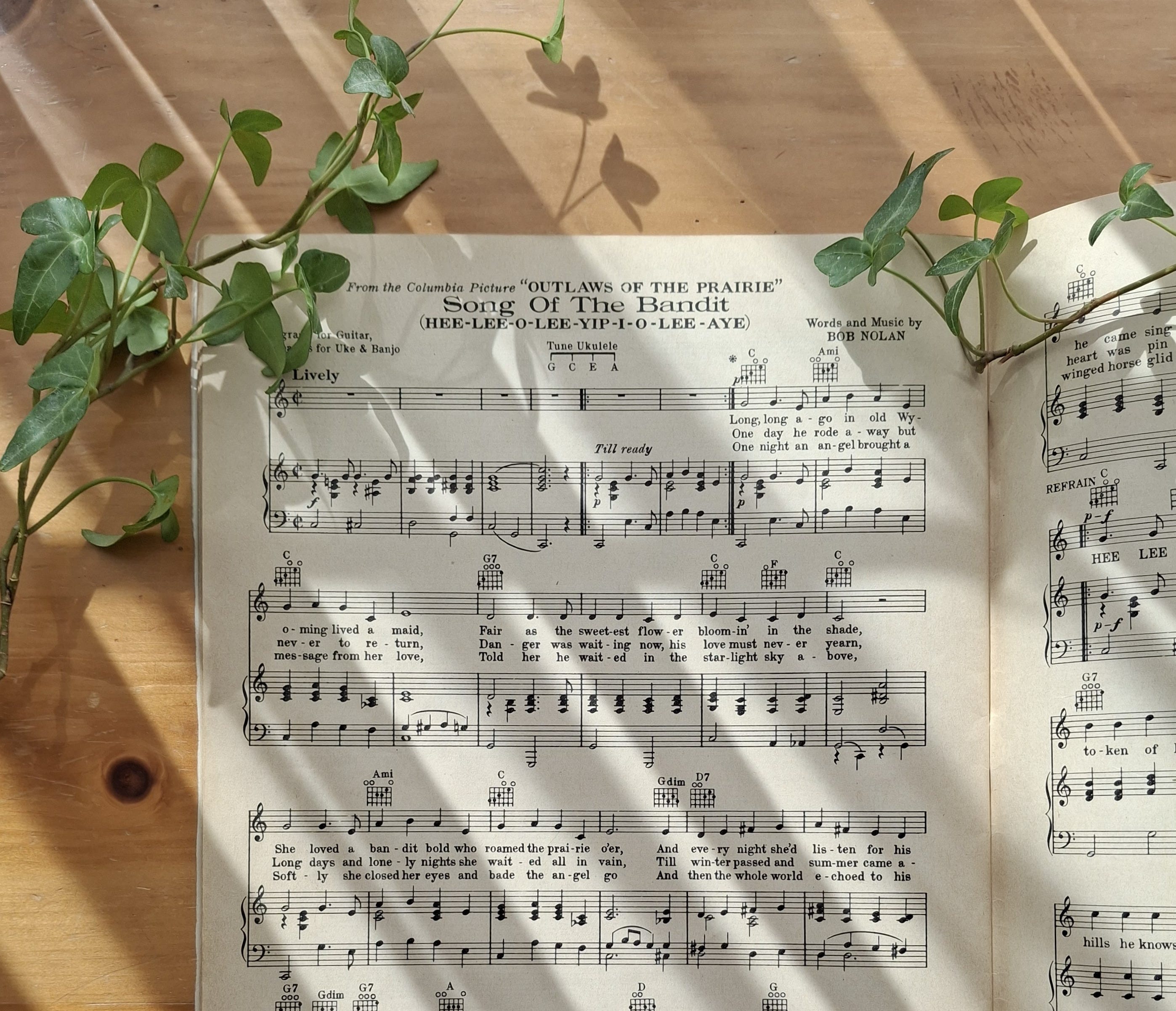 The Highwayman and the Bandit - by Elisabeth Grace Foley