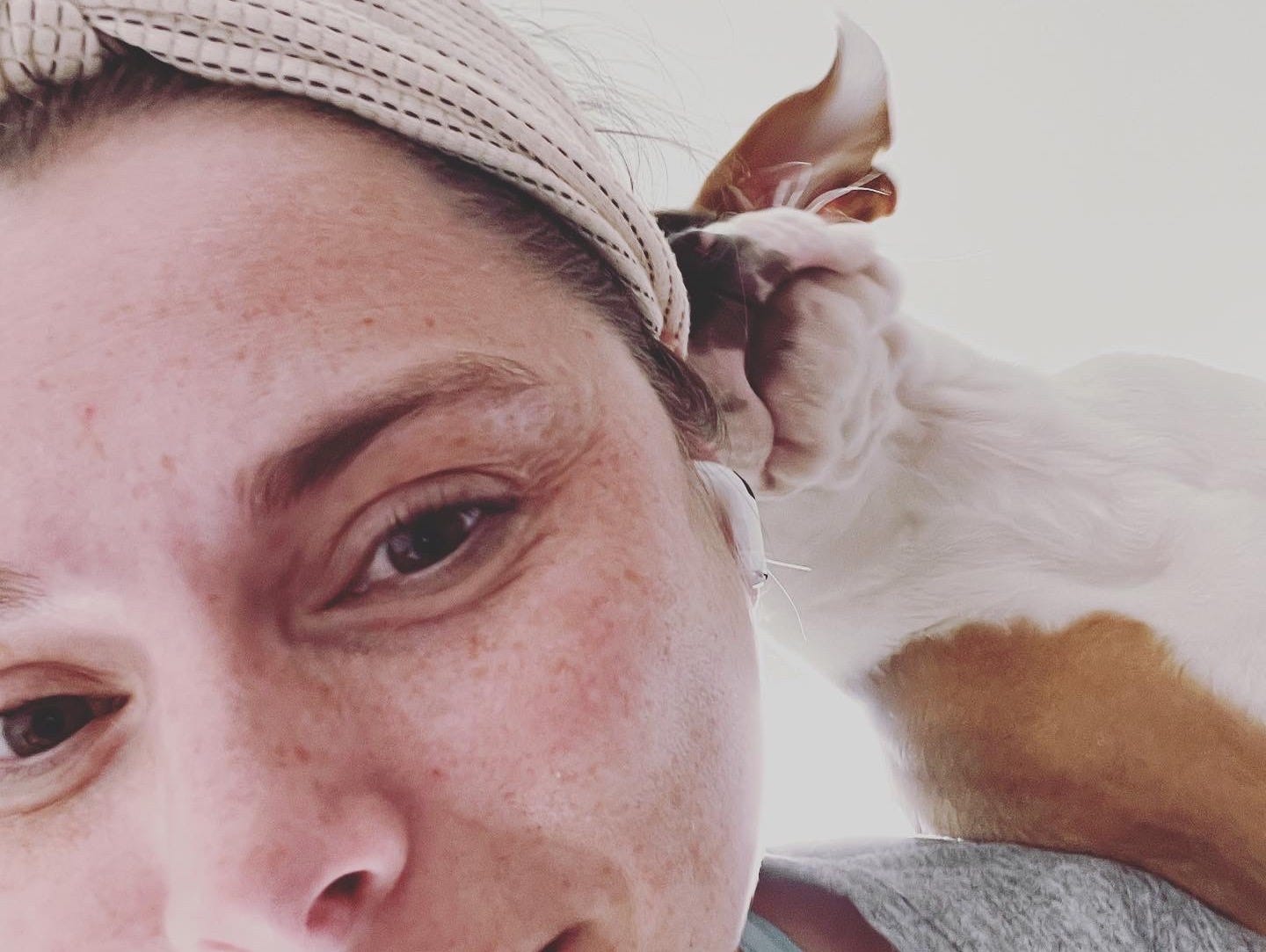 Natalie Ward | Substack