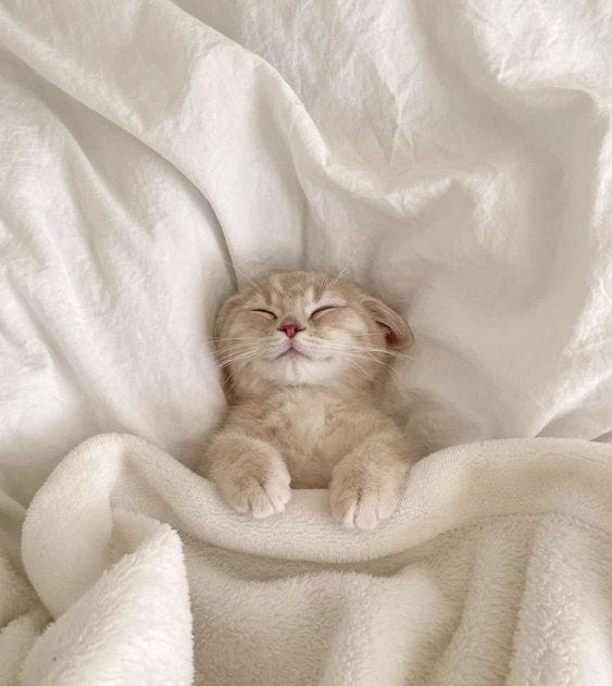 Deploy na Sexta #25: Construindo projetos que impactam a sociedade