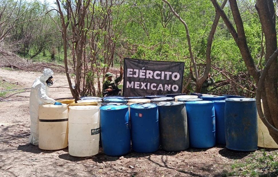 Mini Lic, Life of a Narco Junior - by Luis Chaparro