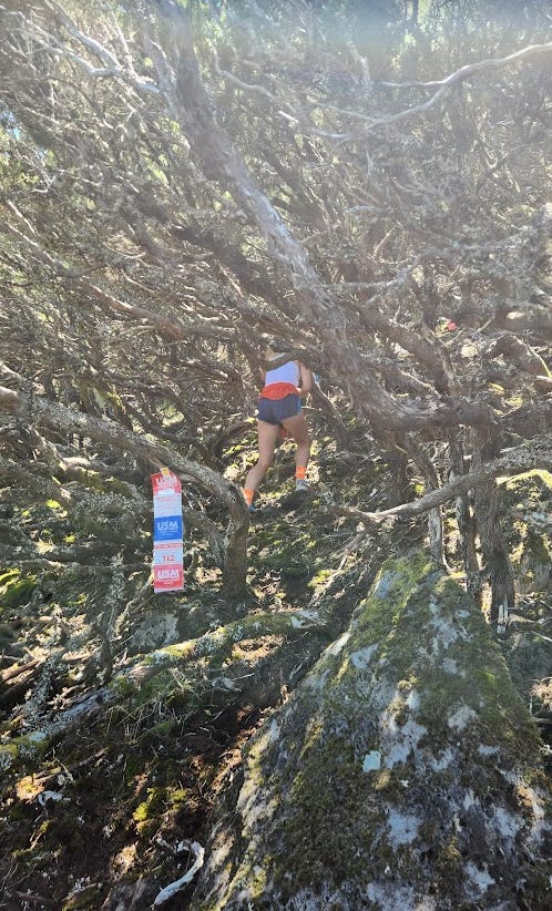 Ultra Skyrunning Madeira - by Michelle Merlis