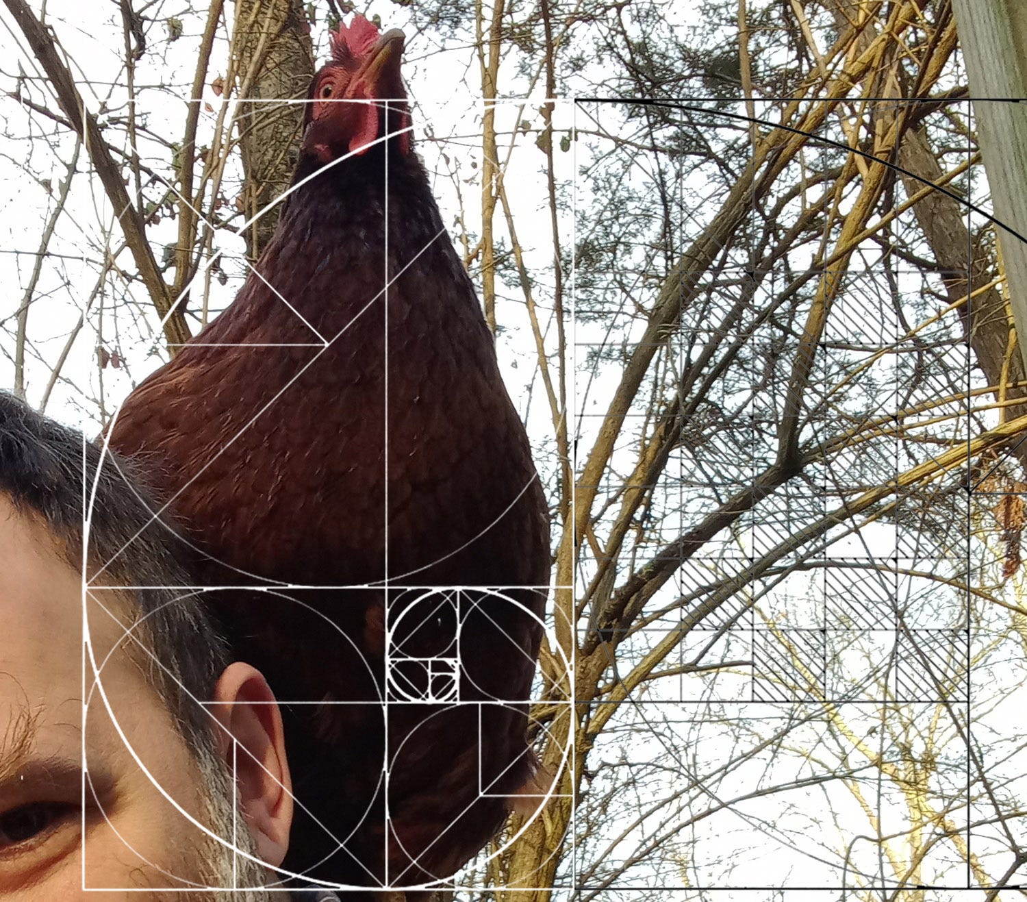 Do You Know the Truth Hiding in Plain Sight? - by Don Clark