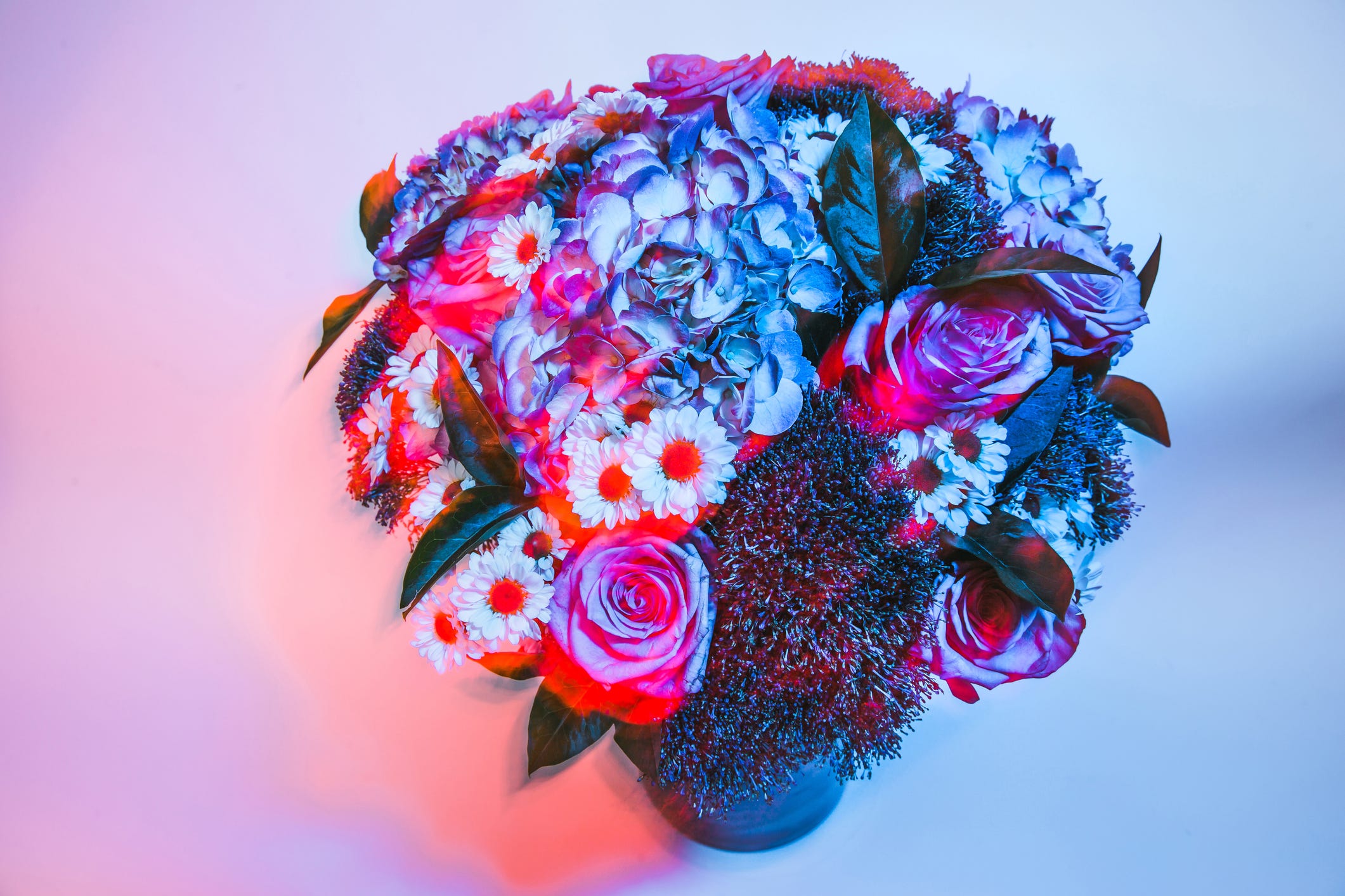 Chart Readings #91 - Astro Poets