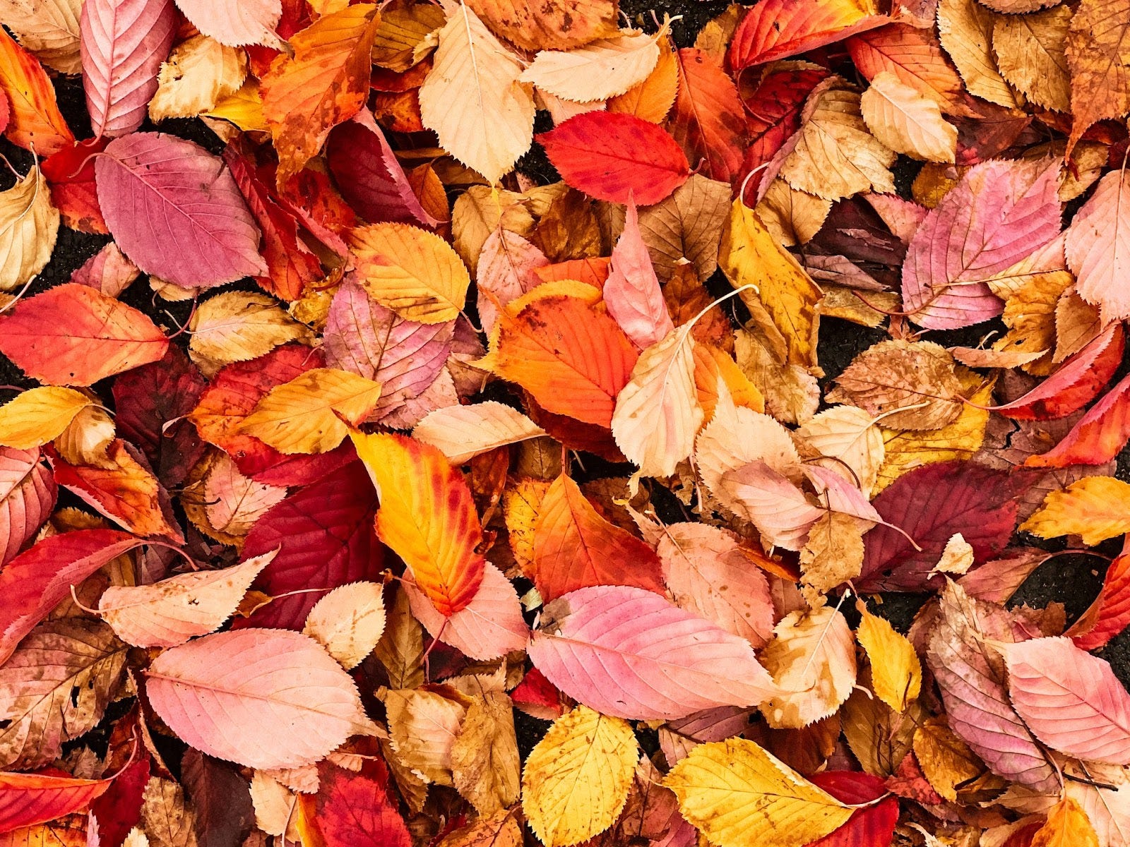 As the Layers of Life Accumulate - by Katie Hawkins-Gaar