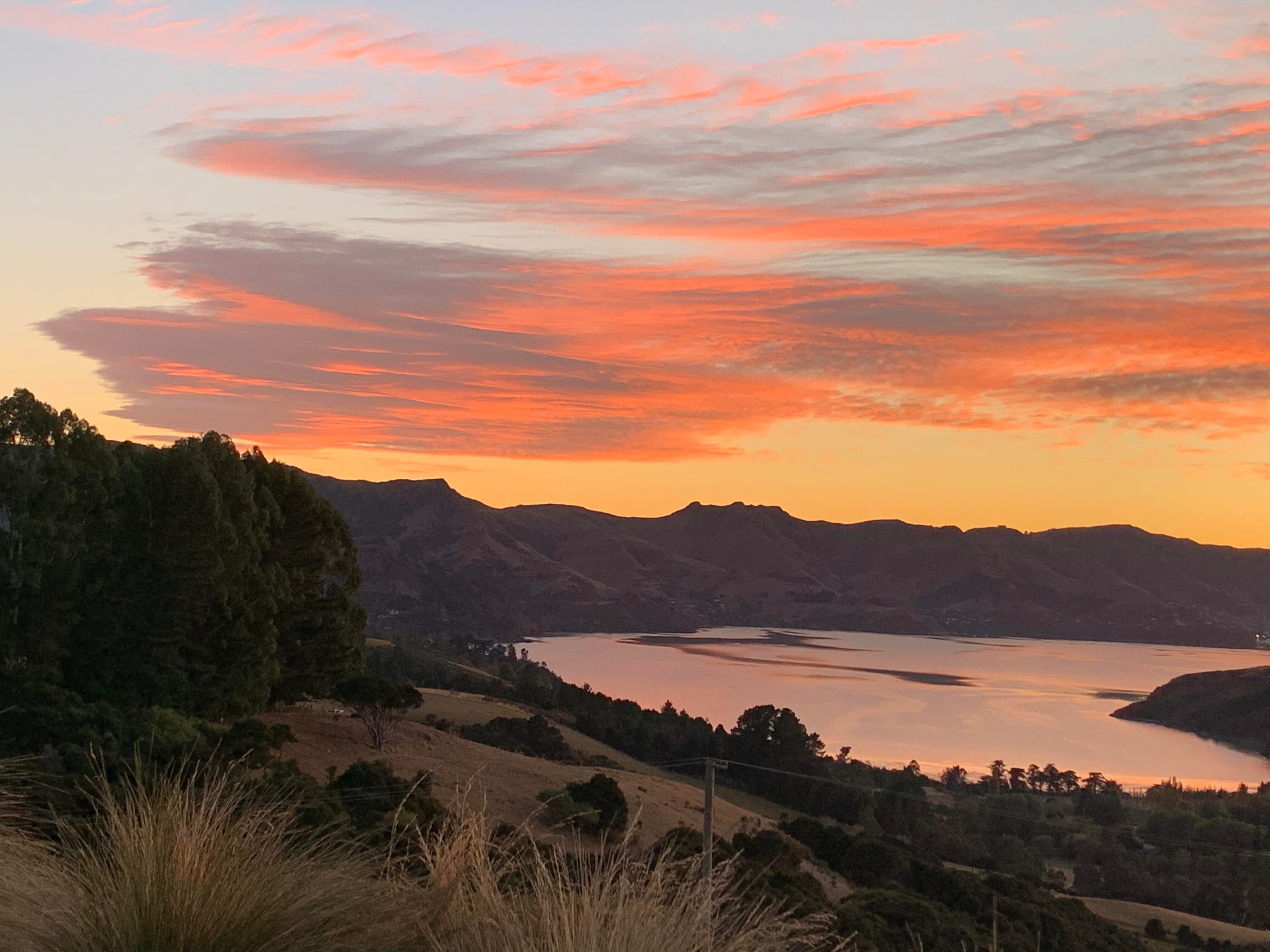 Tuesday 23 May 2023 - by Ann Smith aka Professor Zero