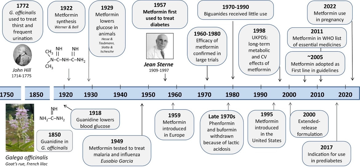 Metformin - a wonder drug with ANTI-diabetes, aging, cancer, Covid, and ...
