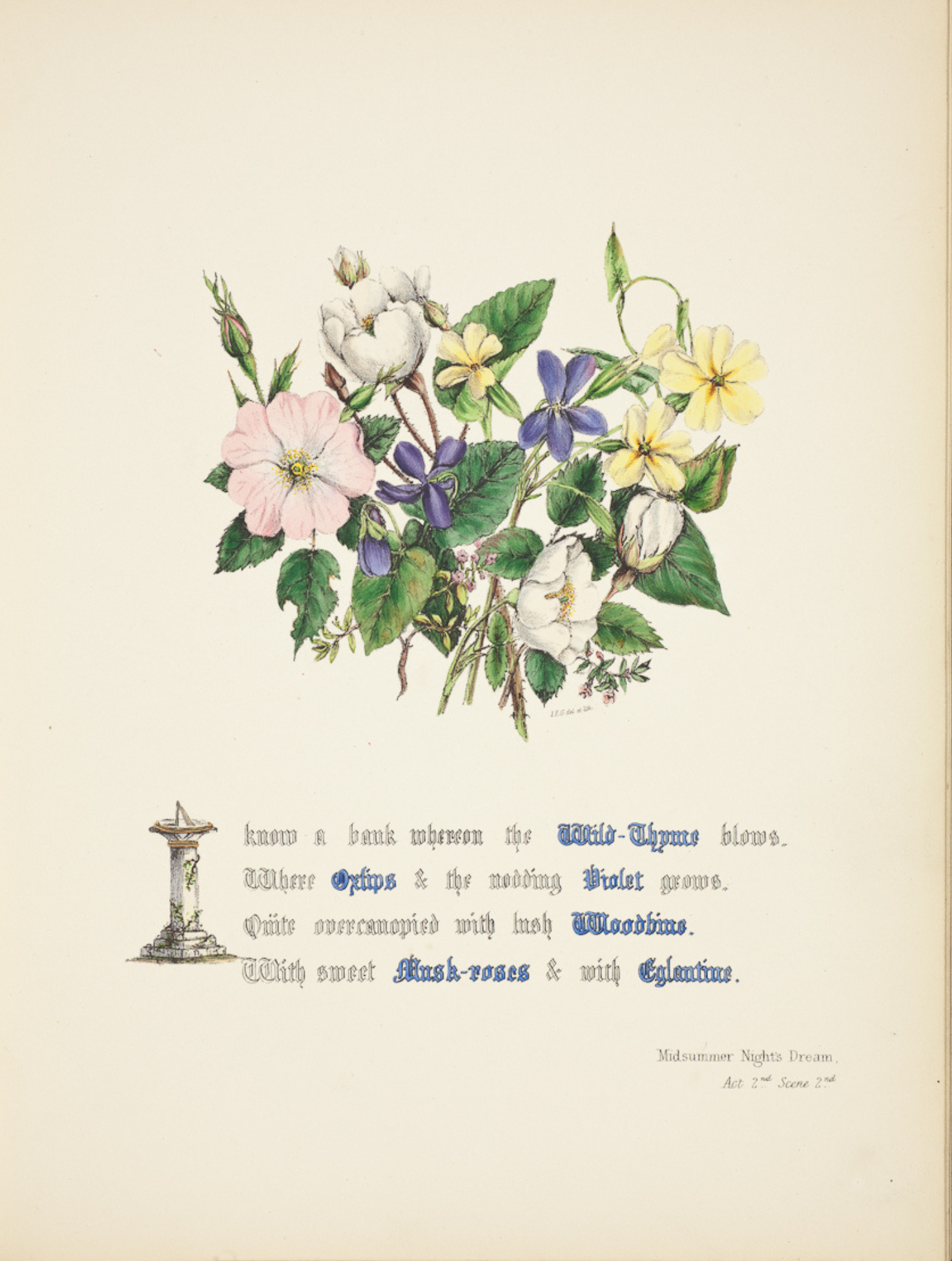 The Shakespeare Garden: Jane Elizabeth Giraud's Posies and Elizabethan ...