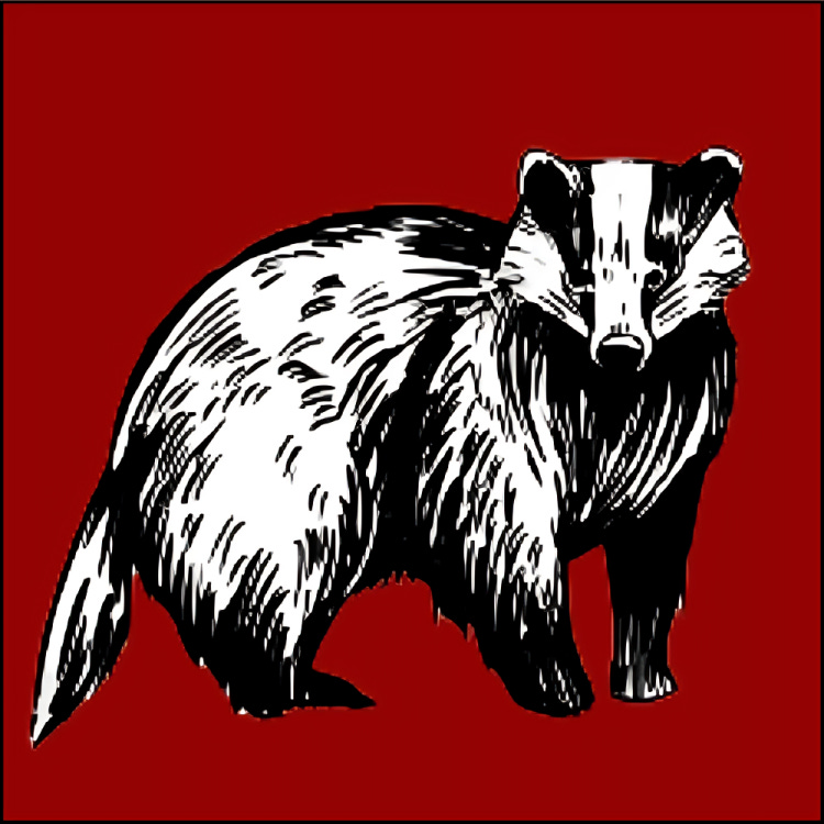 The Madison Federalist | Substack