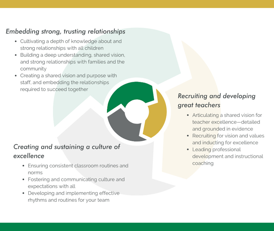 What is the SW100? - 🟢 SW100