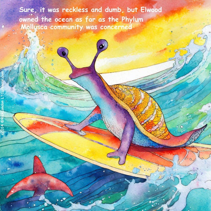 Surfing Slugs by Rick London Cartoons - Rick London Gifts