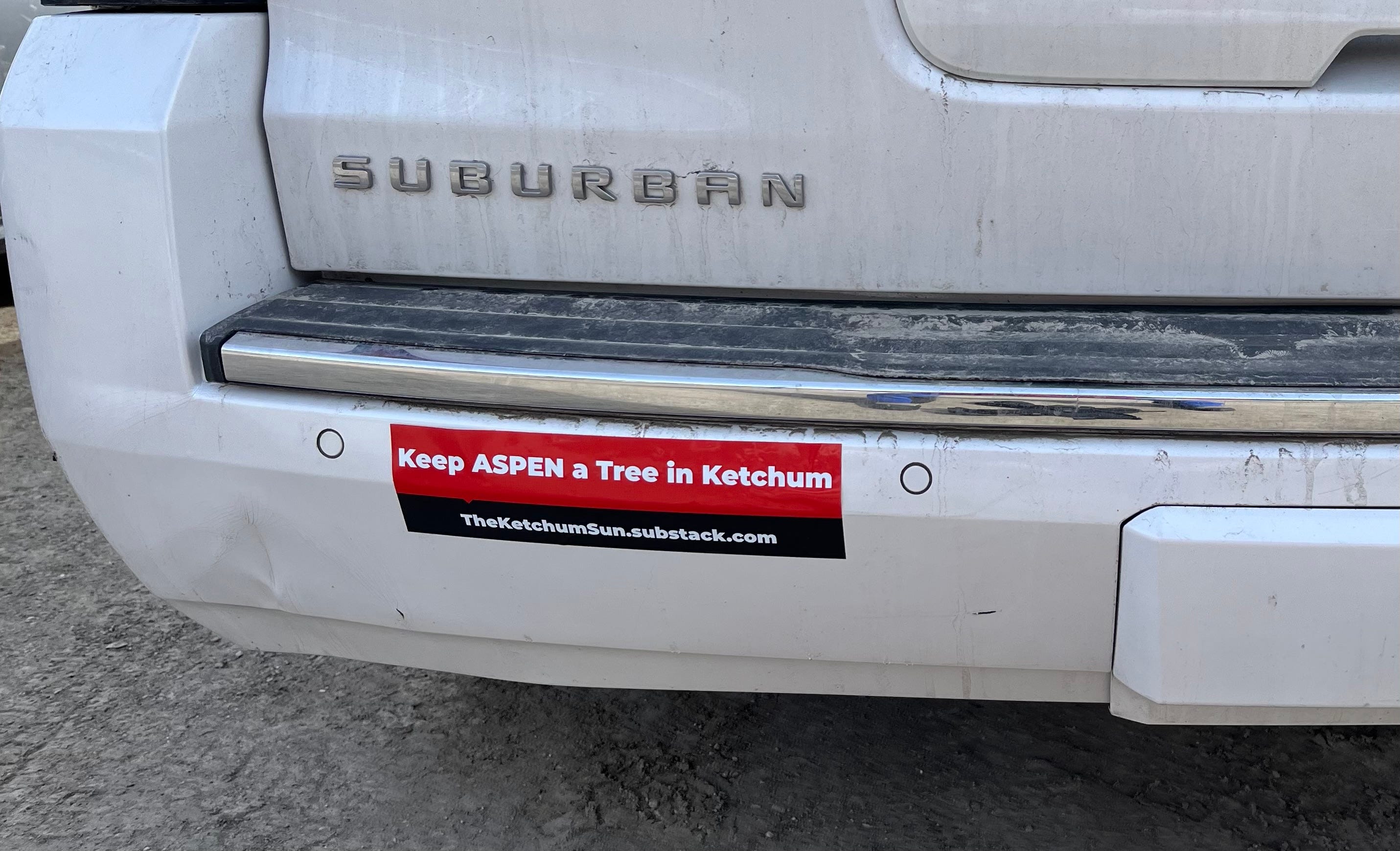 ISSUE #8b: City Hall's Corporate Welfare Program (Part II): SVSB/VSV/FSVA