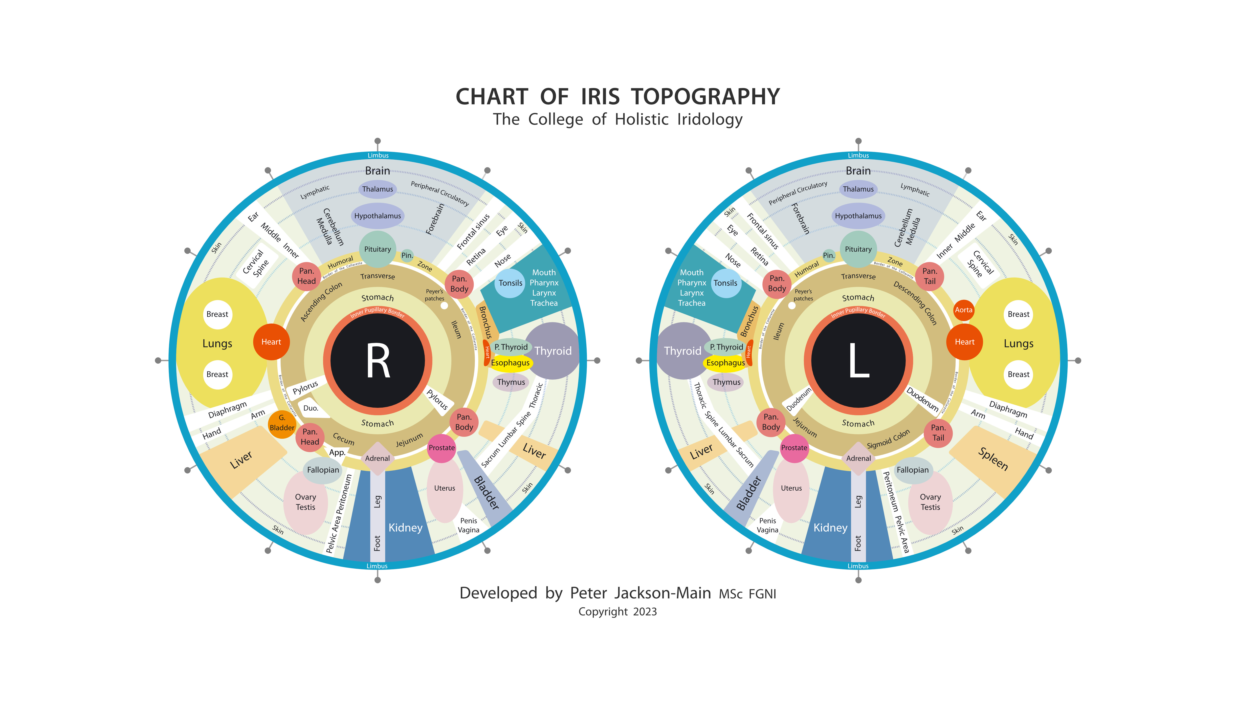 The Mind's Eye: A review of non-physical applications in Iridology
