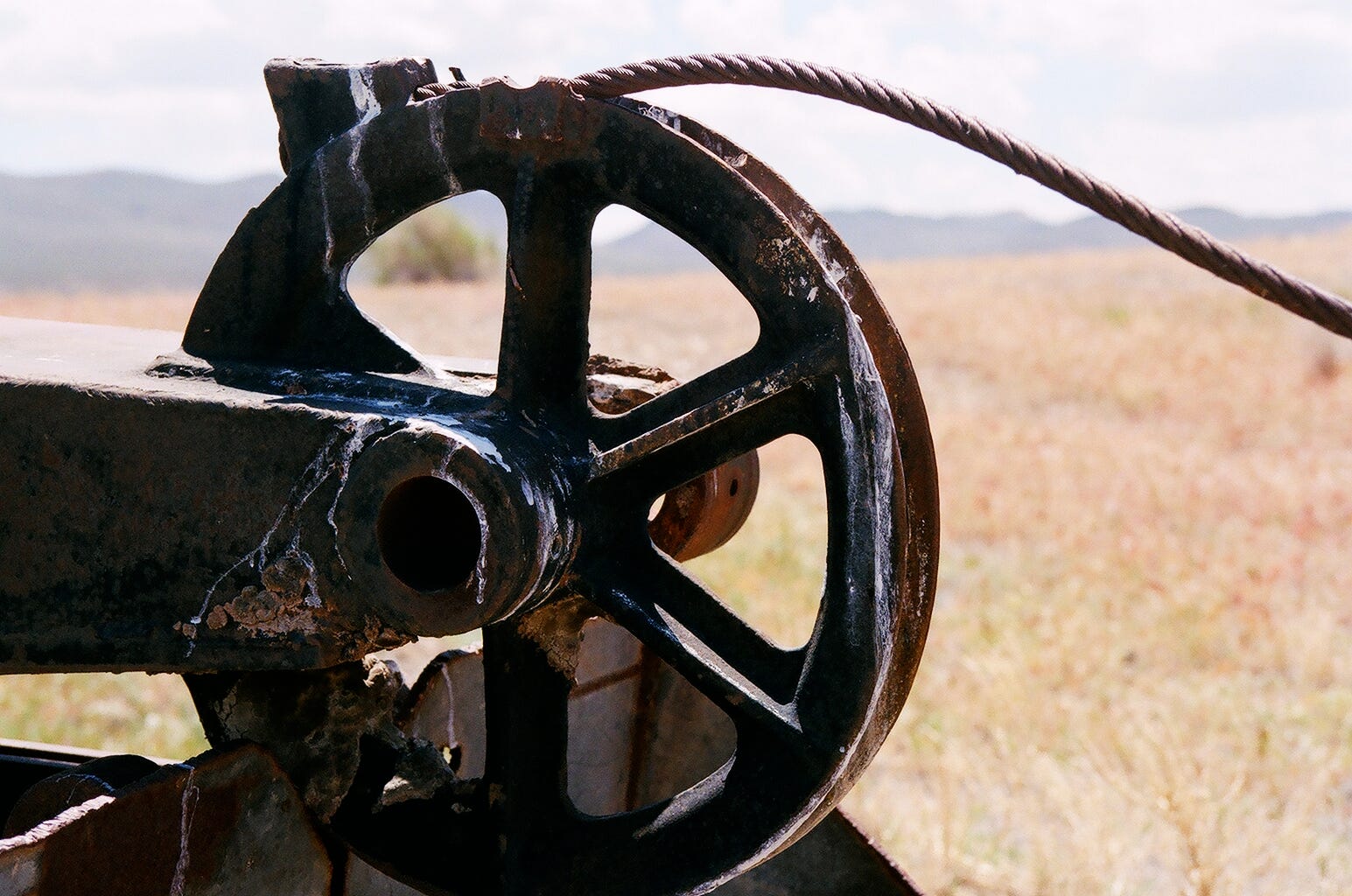 What and Why - by Janet Salsman - Janet’s Substack